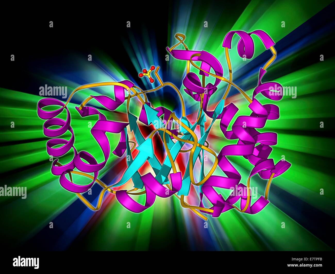 Isomerase In Glycolysis