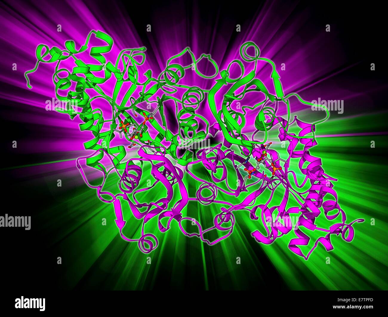 Rubisco plant hi-res stock photography and images - Alamy