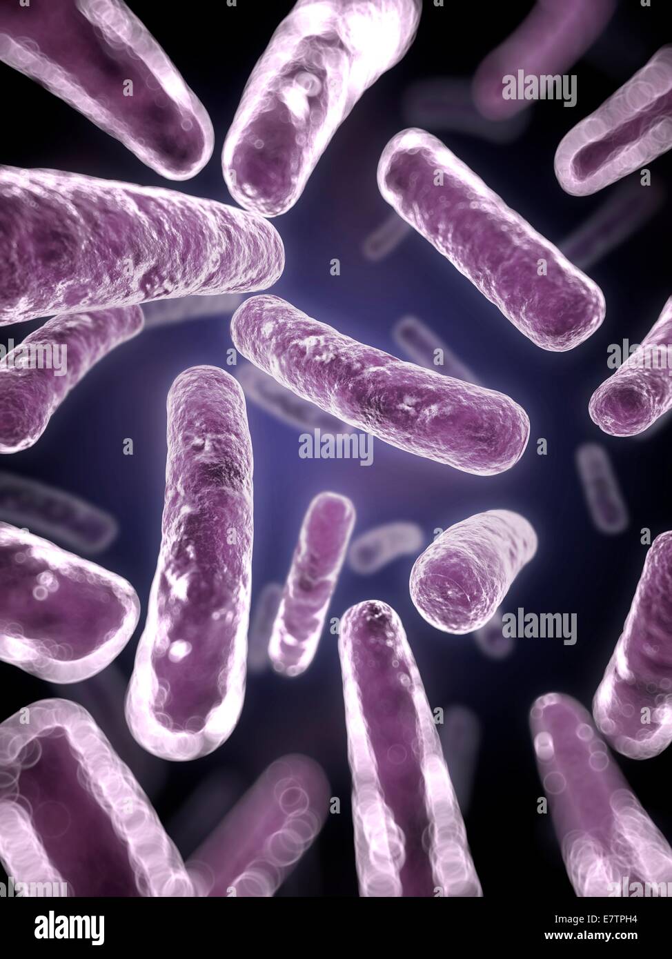 Bacteria, computer artwork Stock Photo - Alamy Bacteria, computer artwork Stock Photo - Alamy
