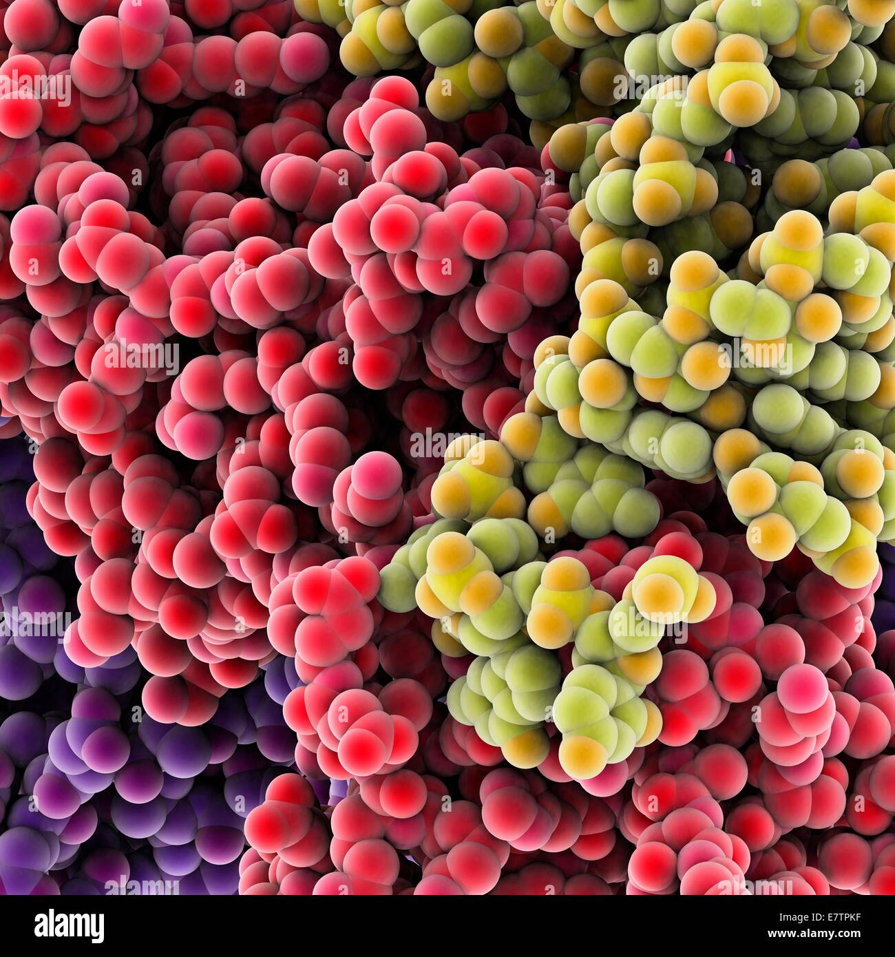 Protein molecules, computer artwork Stock Photo - Alamy