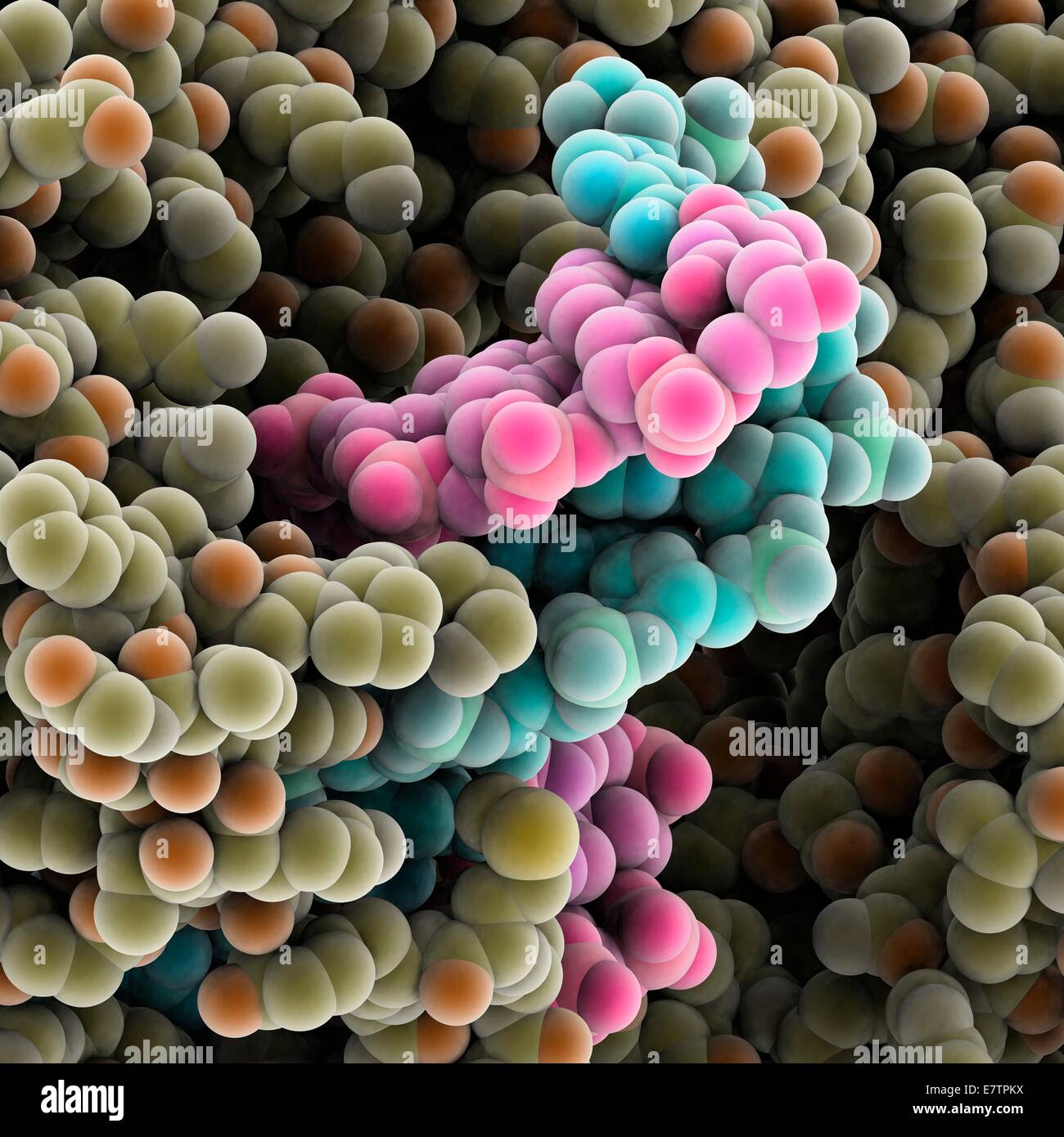 Protein molecules, computer artwork Stock Photo - Alamy