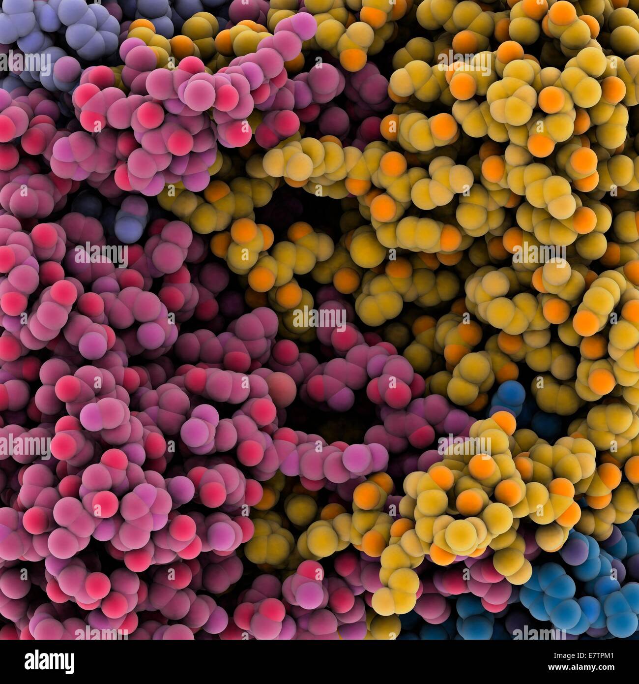 Protein molecules, computer artwork Stock Photo - Alamy