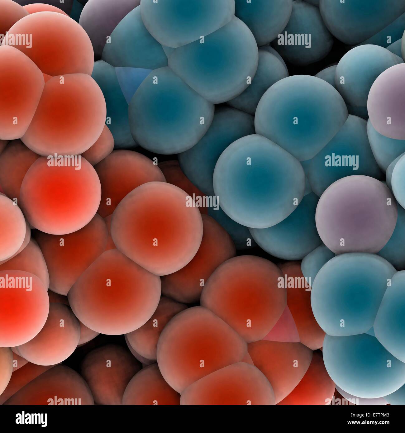 Protein molecules, computer artwork Stock Photo - Alamy