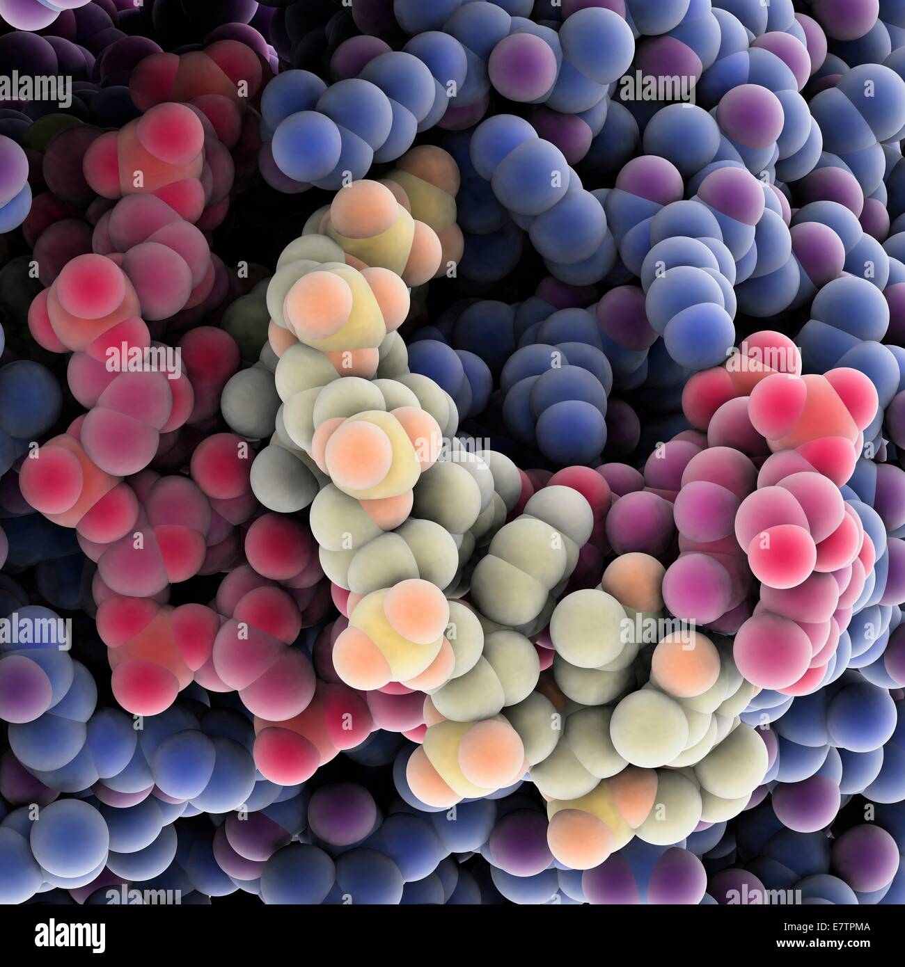 Protein molecules, computer artwork Stock Photo - Alamy