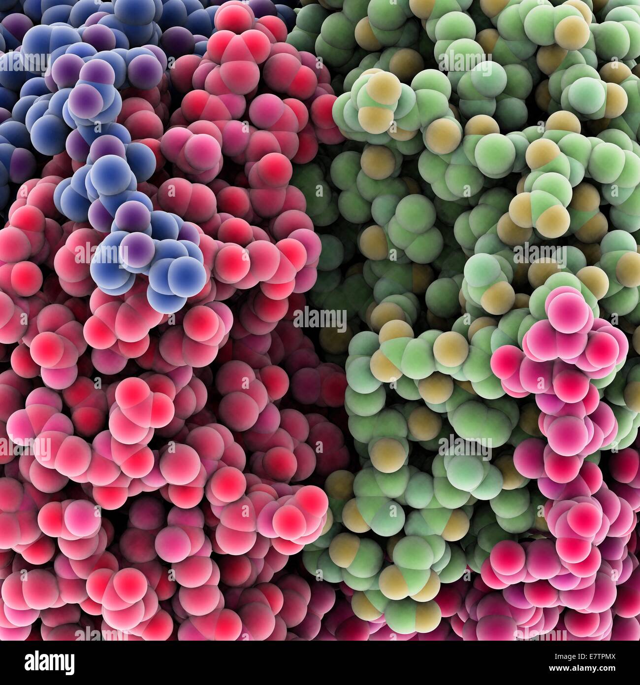 Protein molecules, computer artwork Stock Photo - Alamy