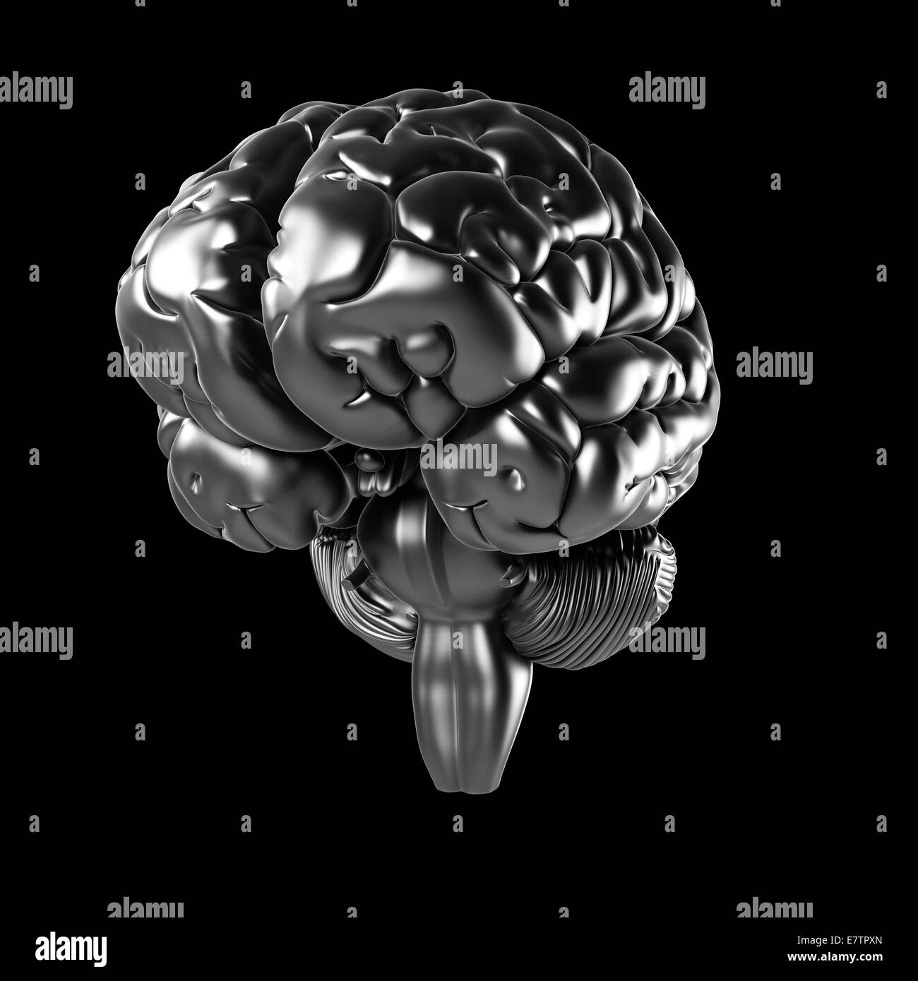 Human brain, computer artwork Stock Photo - Alamy