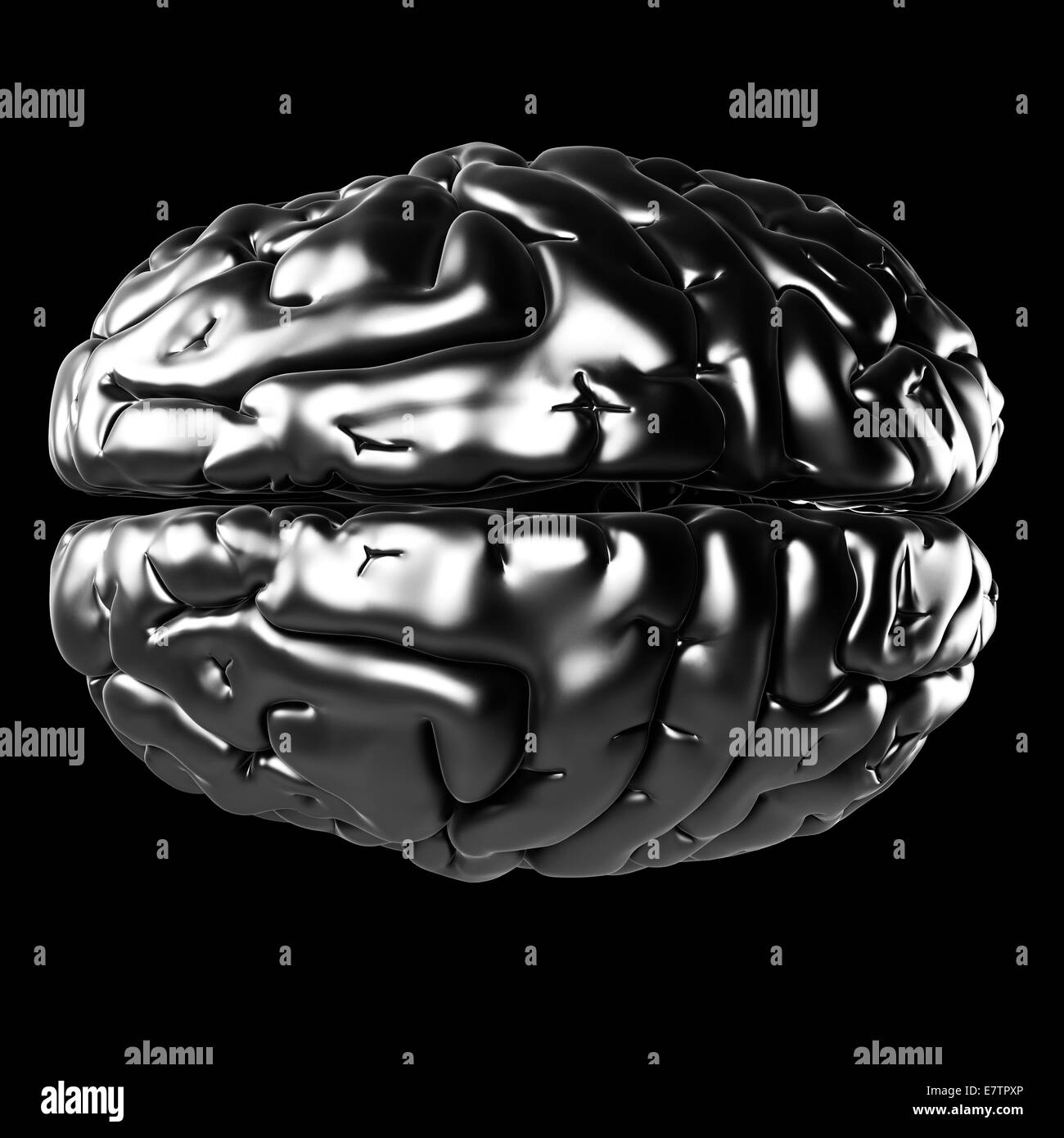 Human brain, computer artwork Stock Photo - Alamy