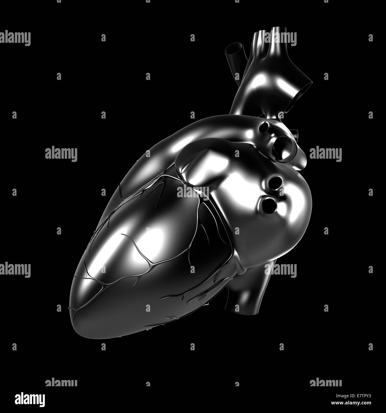 Human heart Black and White Stock Photos & Images - Alamy