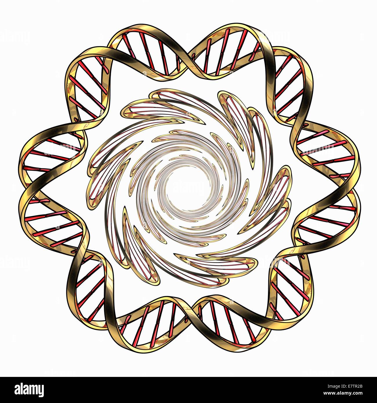 DNA (Deoxyribonucleic acid), computer artwork Stock Photo - Alamy