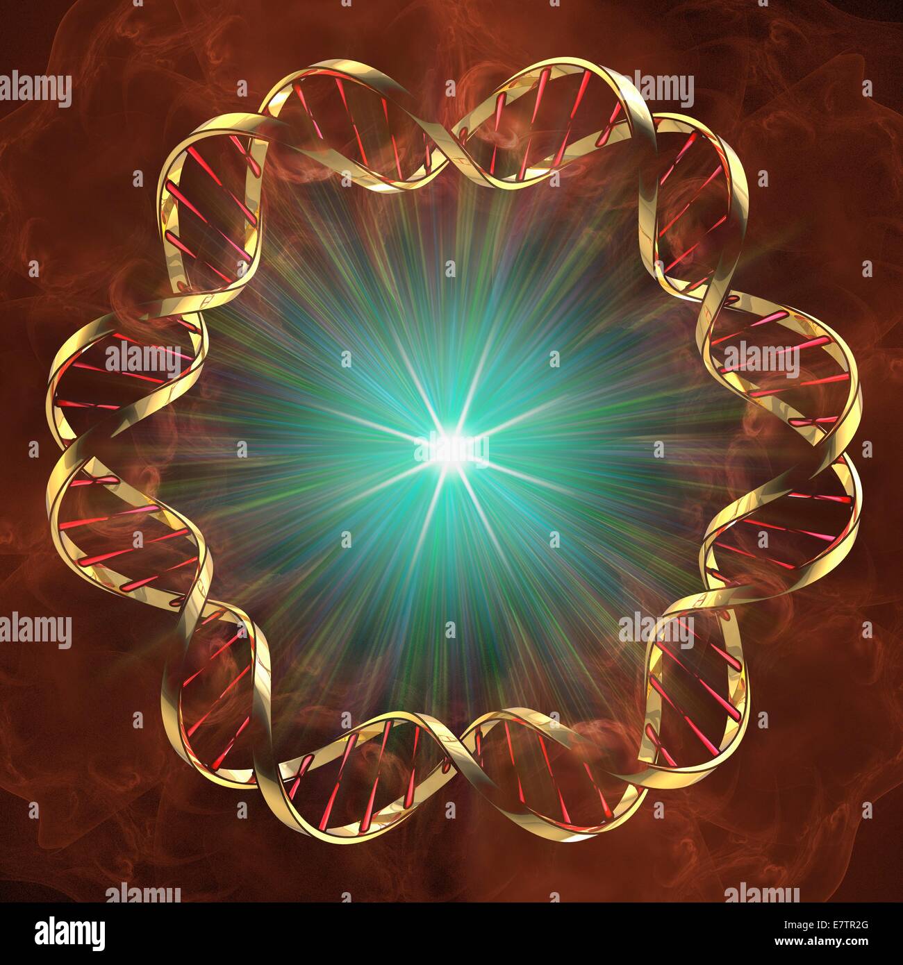 DNA (Deoxyribonucleic acid), computer artwork Stock Photo - Alamy