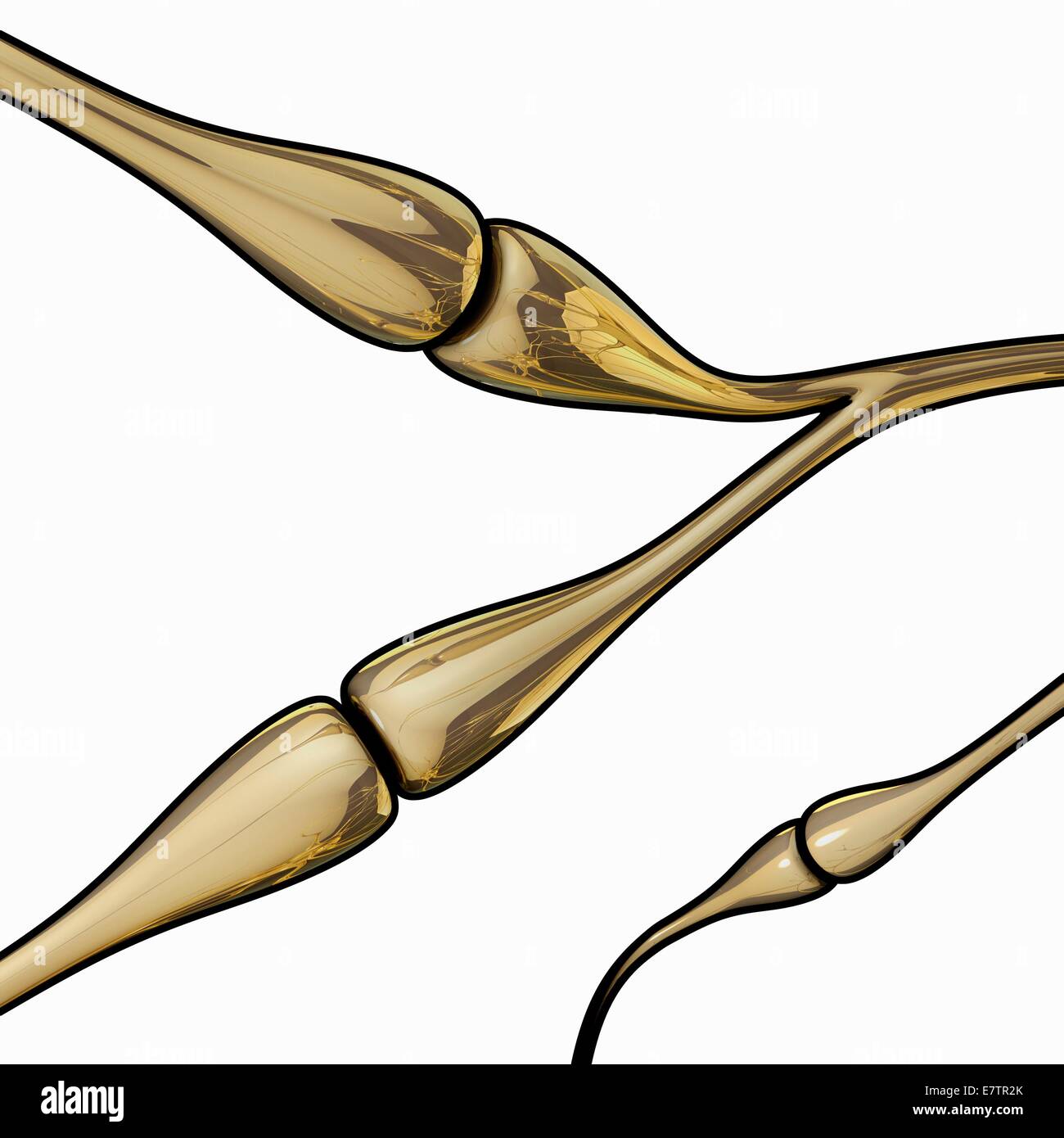 Synapses, computer artwork Stock Photo - Alamy