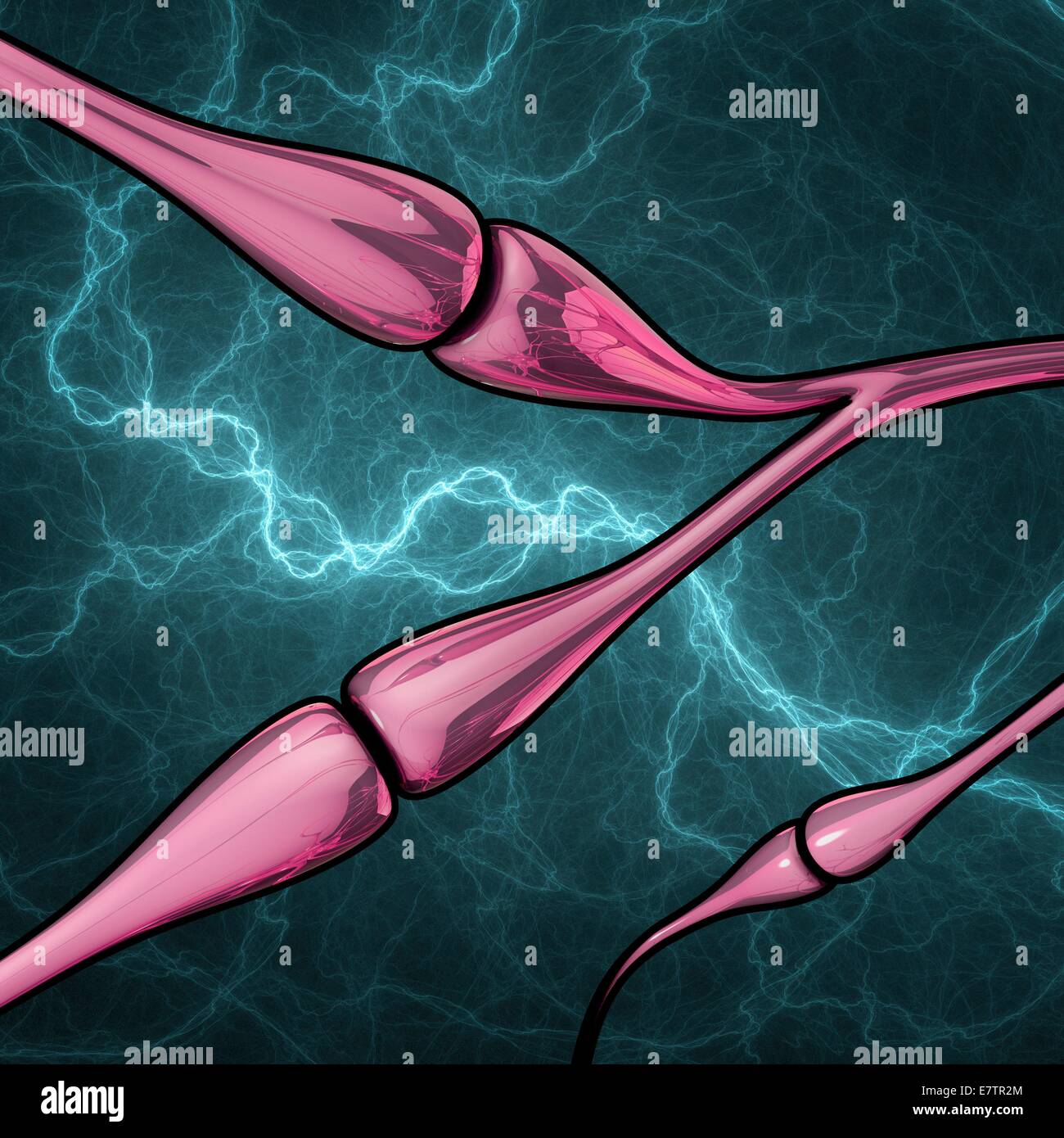 Synapses, computer artwork Stock Photo - Alamy