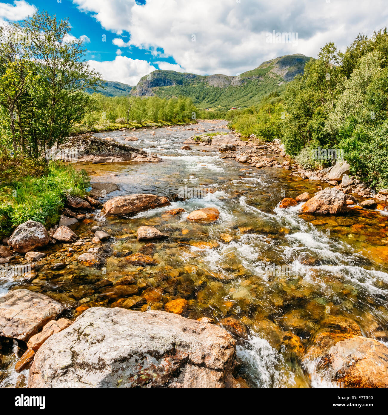 Norway Nature River. Sunny Summer Day, Landscape With Mountain, Pure ...