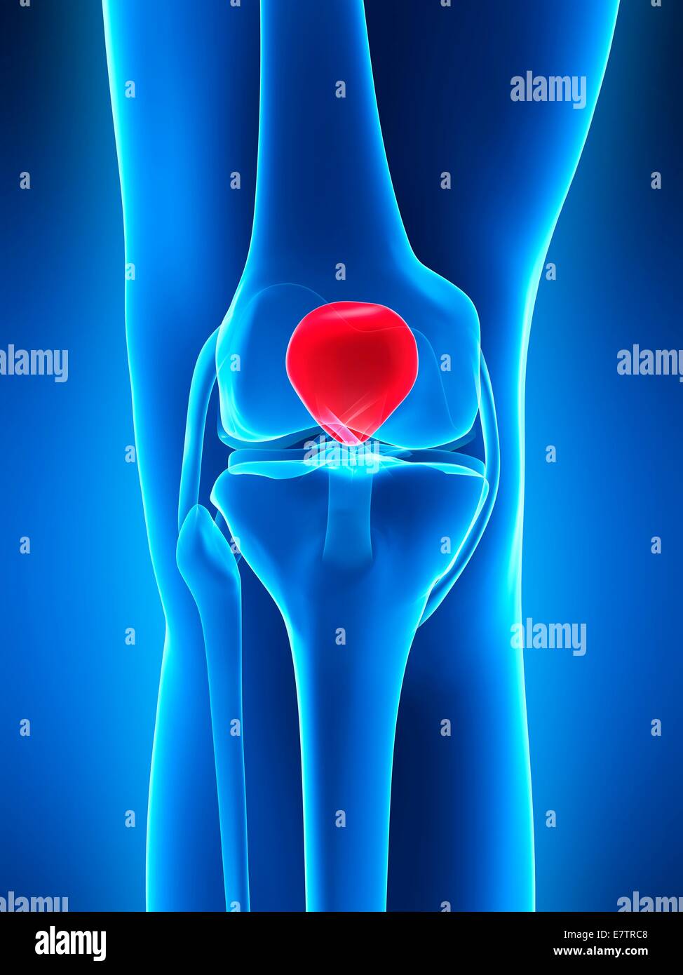 Knee cap hi-res stock photography and images - Alamy