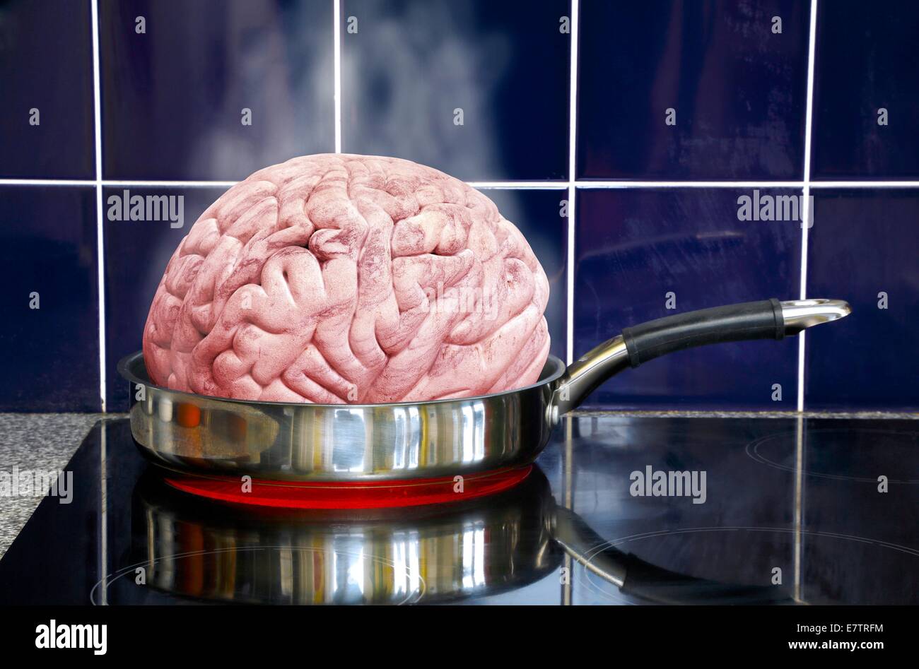 Brain pan hi-res stock photography and images - Alamy