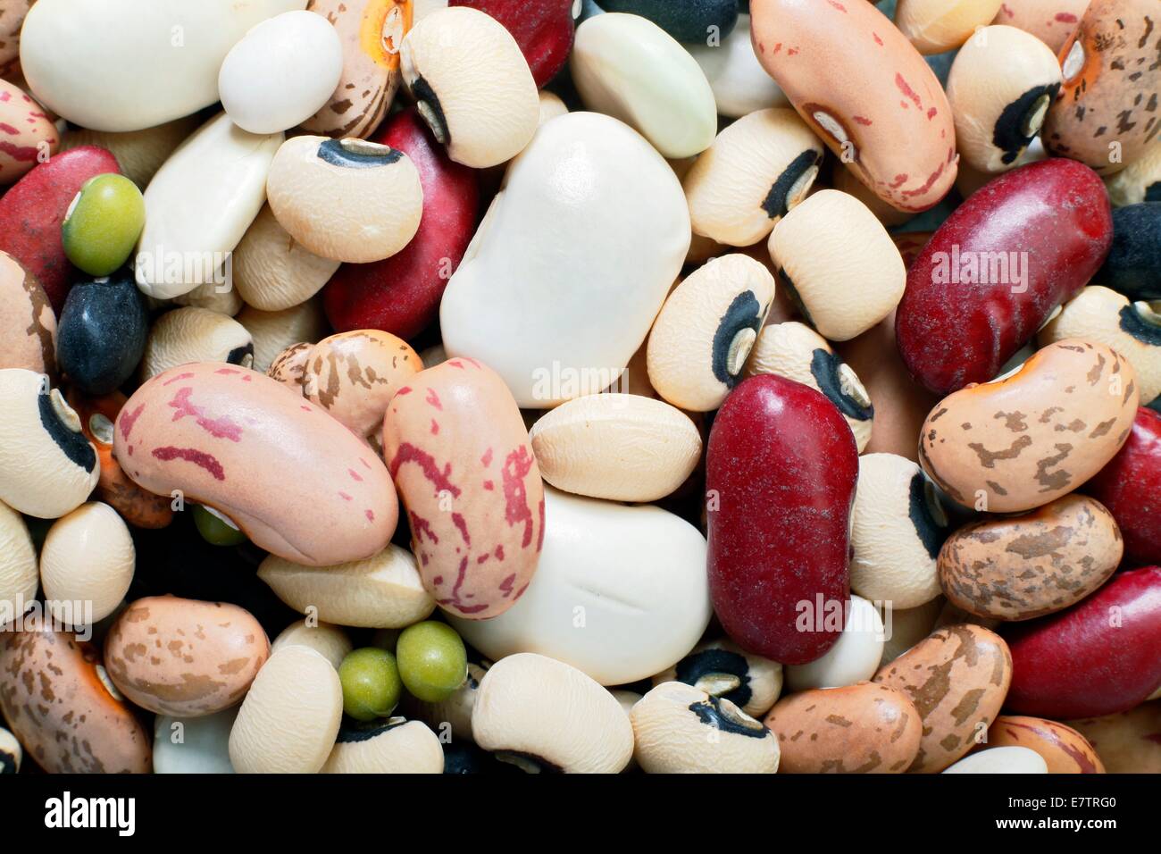 Selection of beans Stock Photo - Alamy
