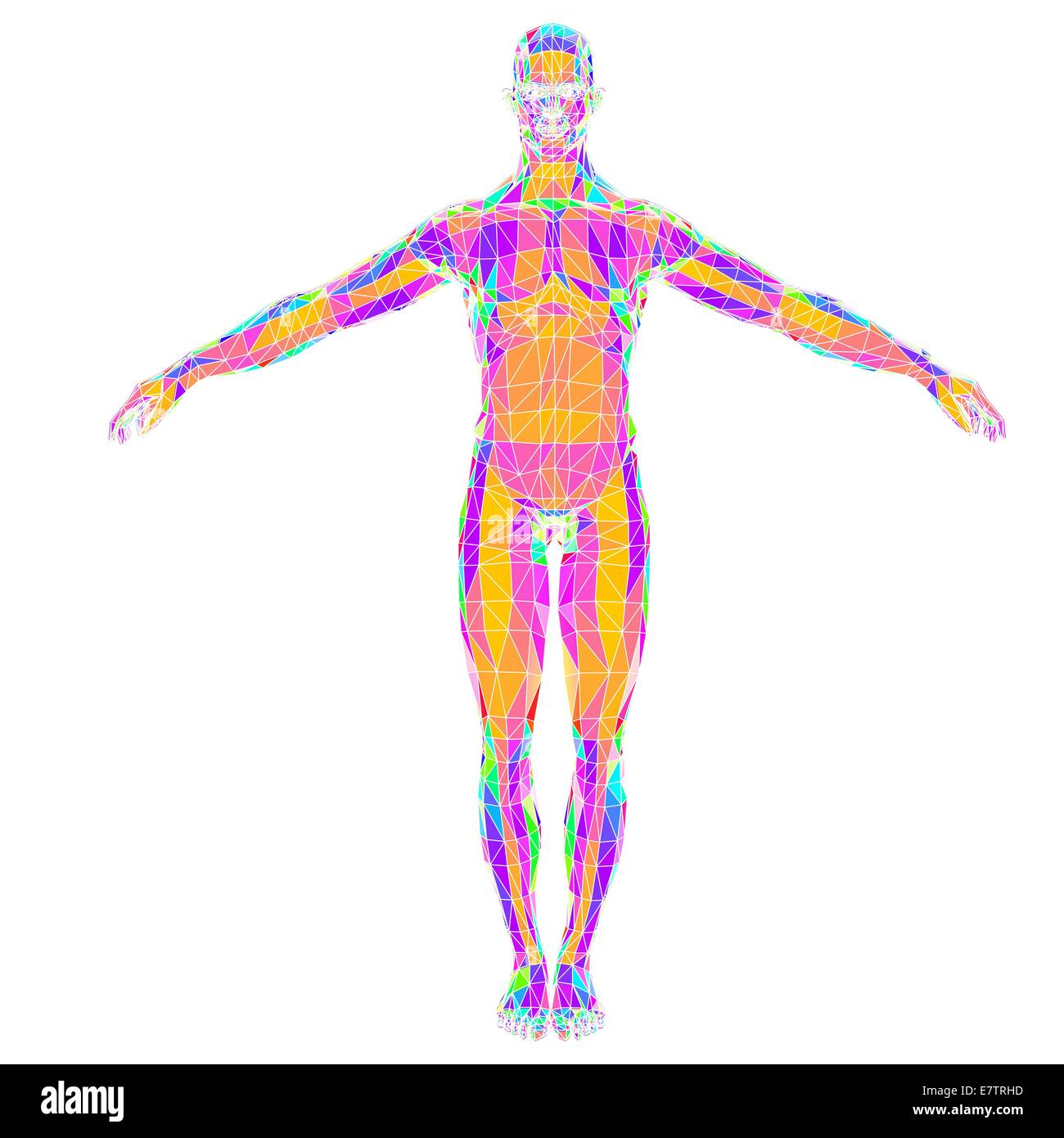 Geometric model hi-res stock photography and images - Alamy