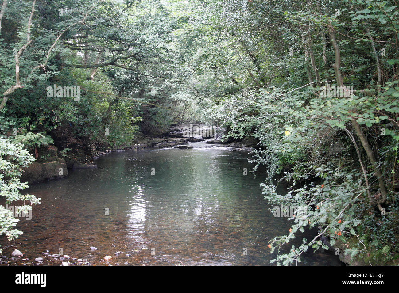 Falls - Aberdulais Stock Photo - Alamy