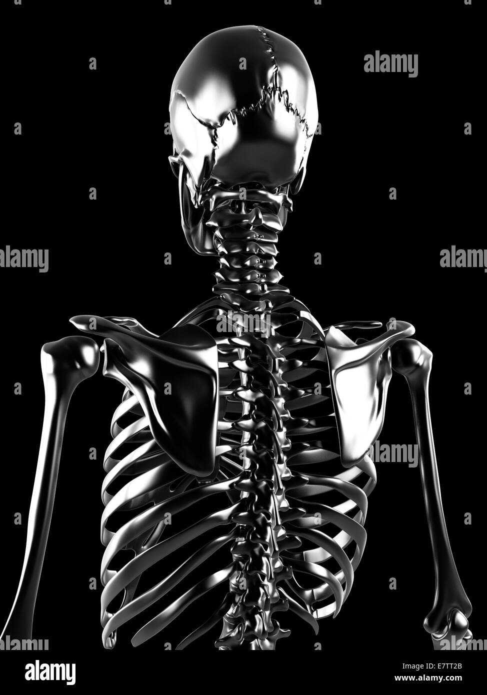Skeleton at computer hi-res stock photography and images - Alamy
