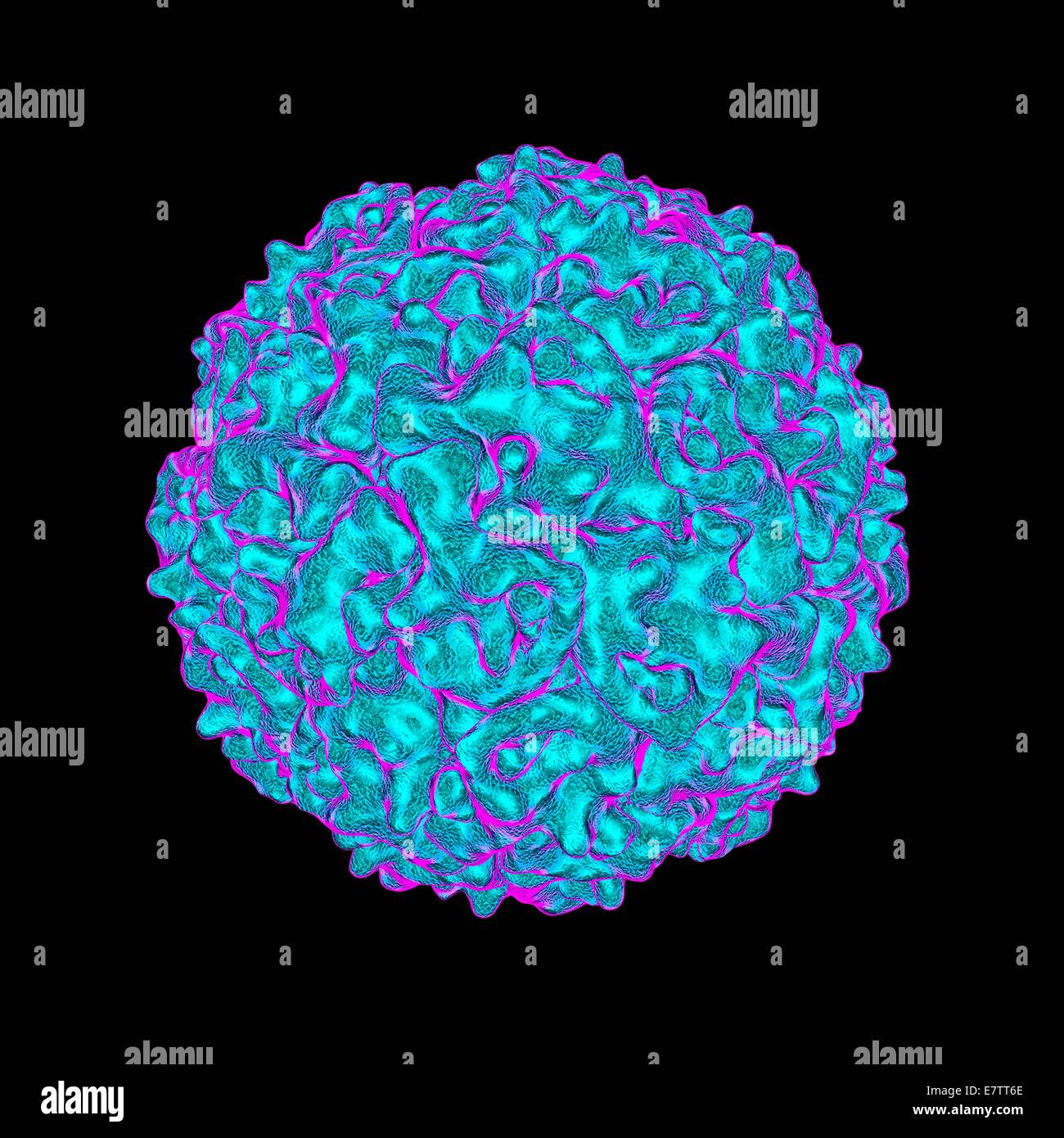 Densovirus, computer artwork Stock Photo - Alamy