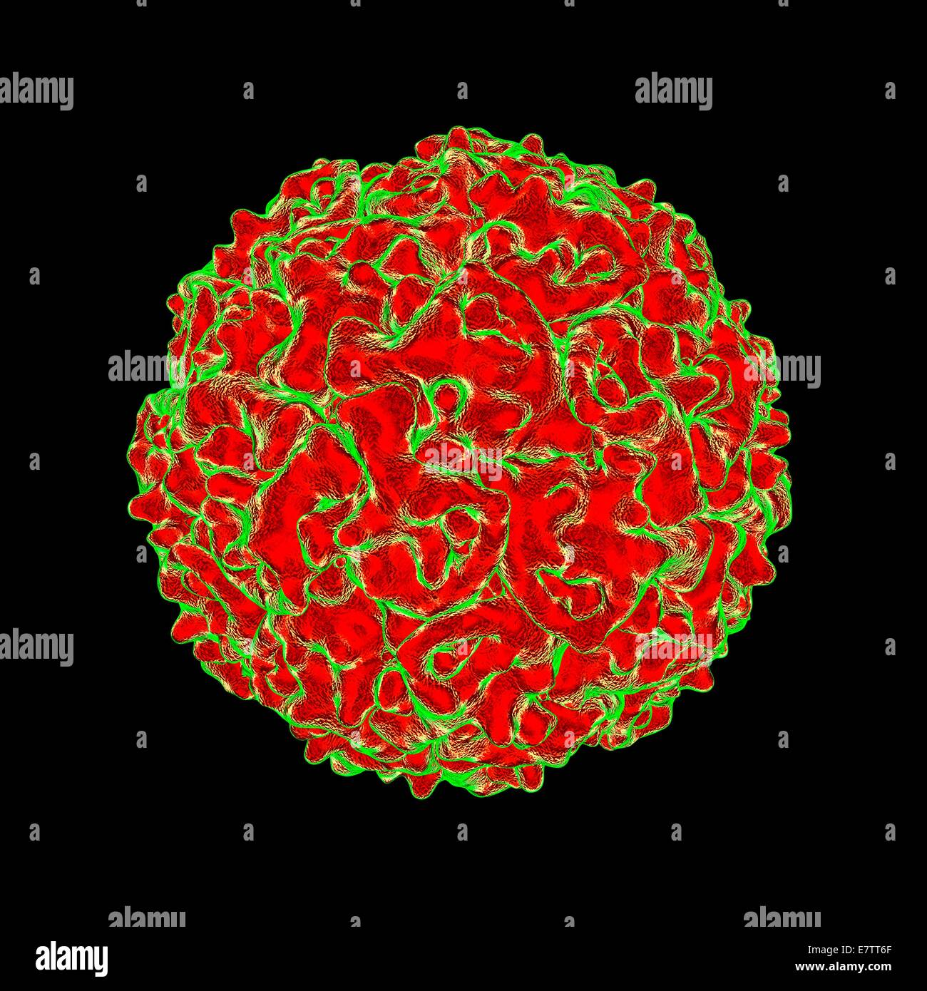 Densovirus, computer artwork Stock Photo - Alamy