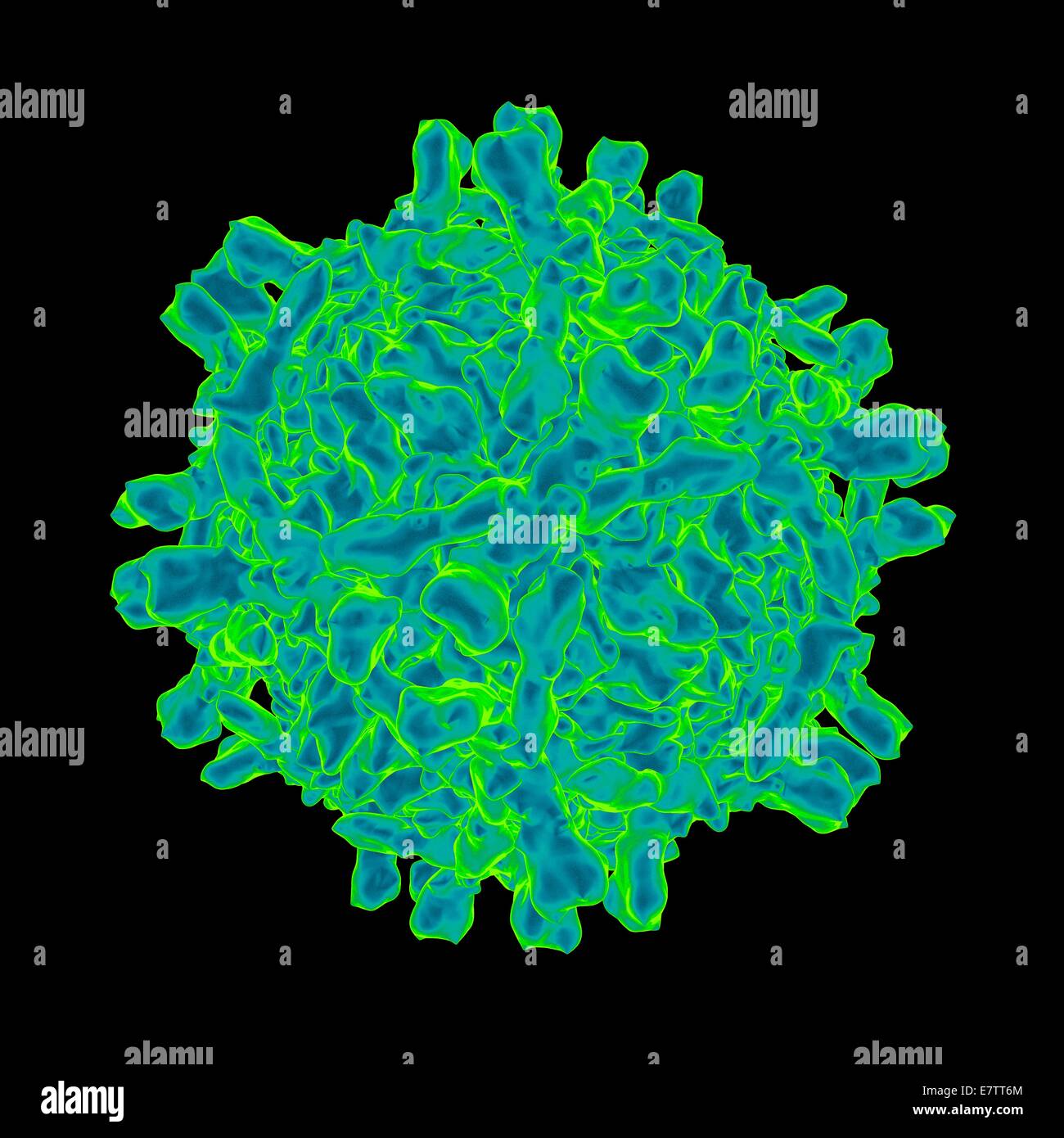Echovirus, computer artwork Stock Photo - Alamy