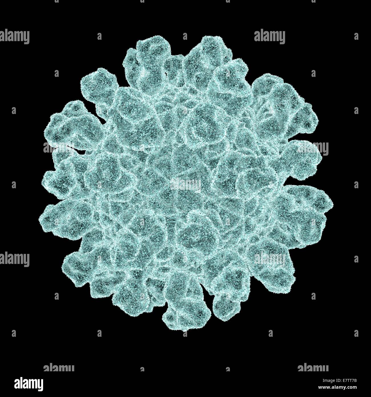 Hand foot and mouth disease hi-res stock photography and images - Alamy