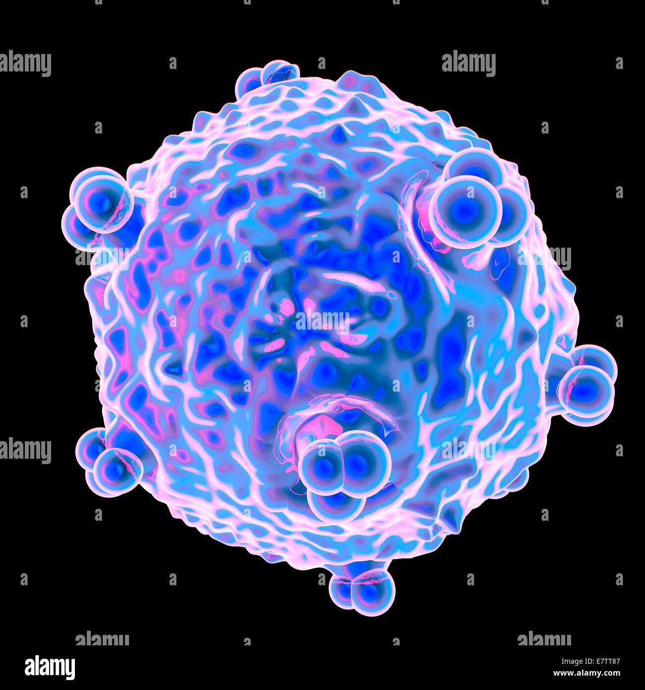 Human foamy virus hfv hi-res stock photography and images - Alamy