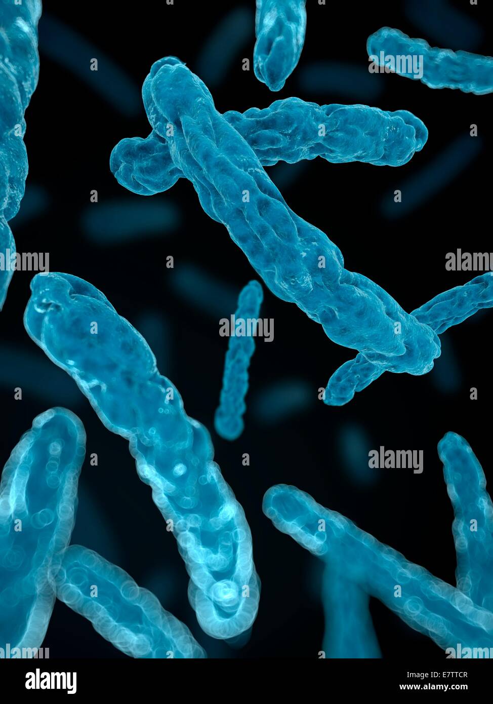 Bacteria, computer artwork Stock Photo - Alamy