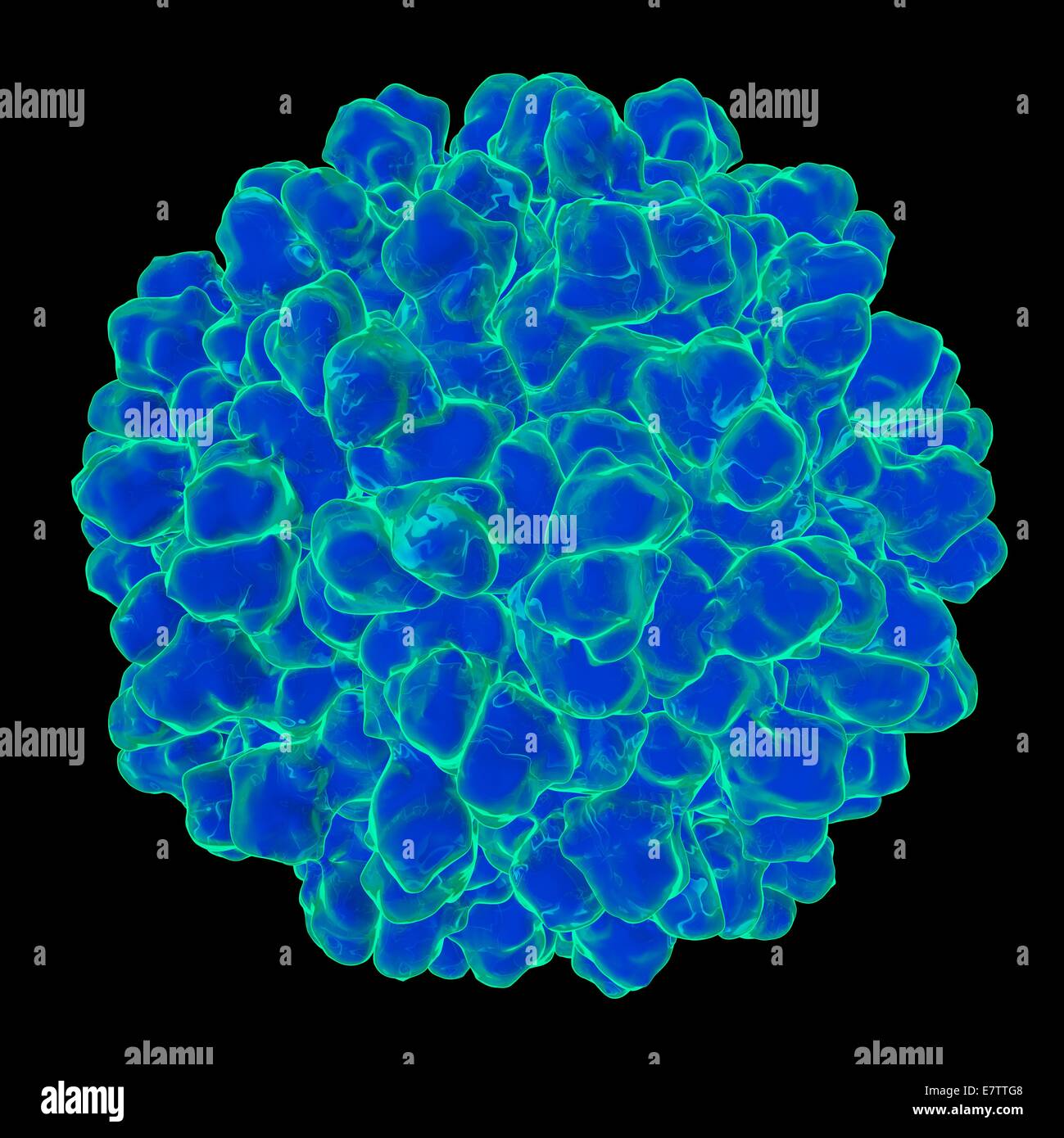 Melon necrotic spot virus, computer artwork Stock Photo - Alamy