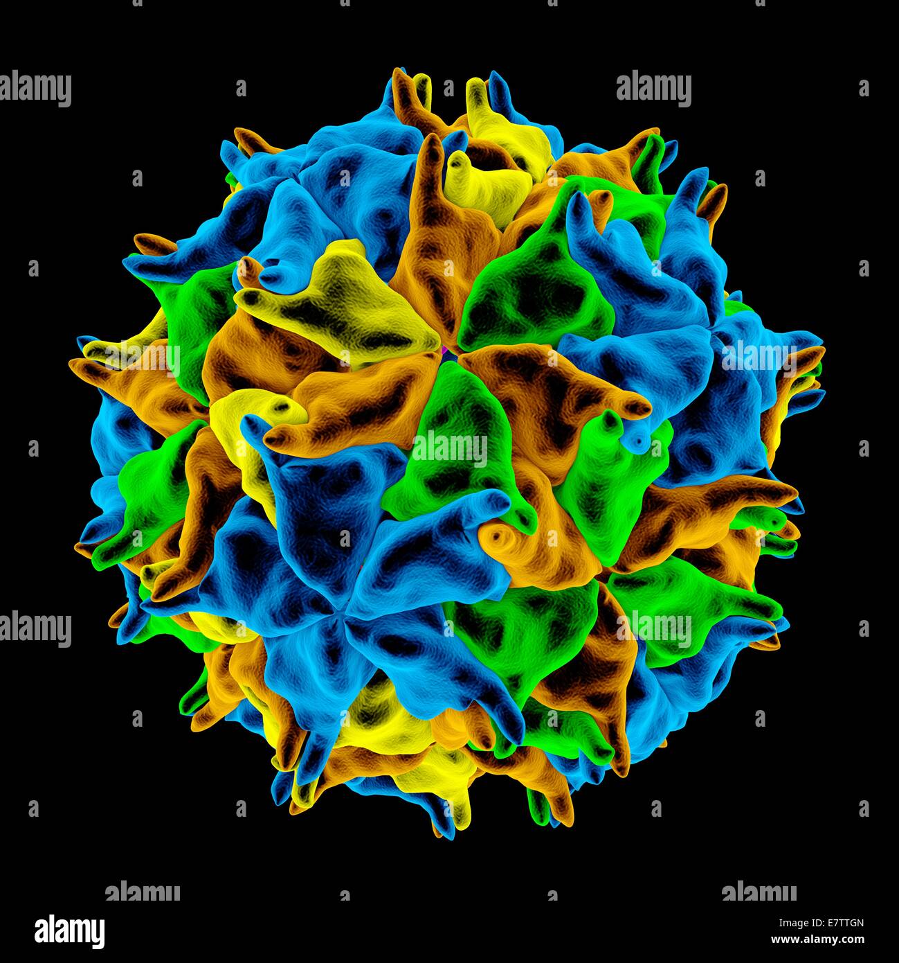 Nodaviridae hi-res stock photography and images - Alamy