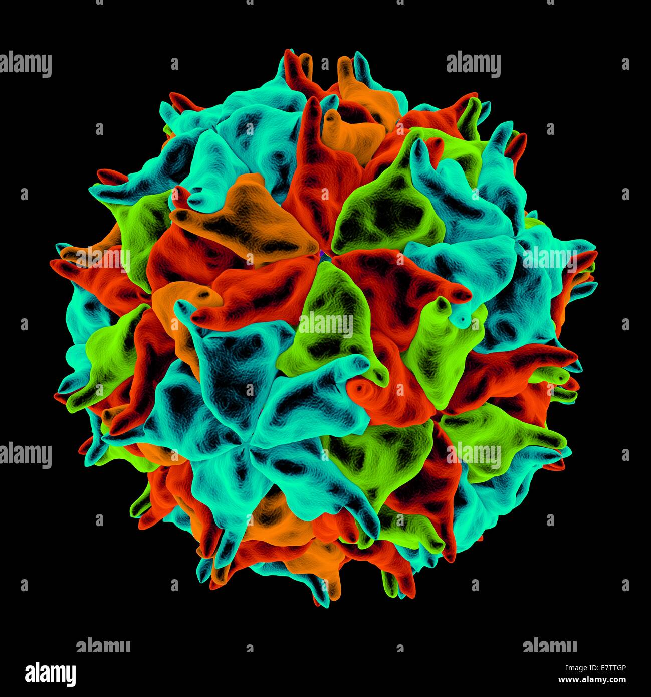 Nodaviridae hi-res stock photography and images - Alamy