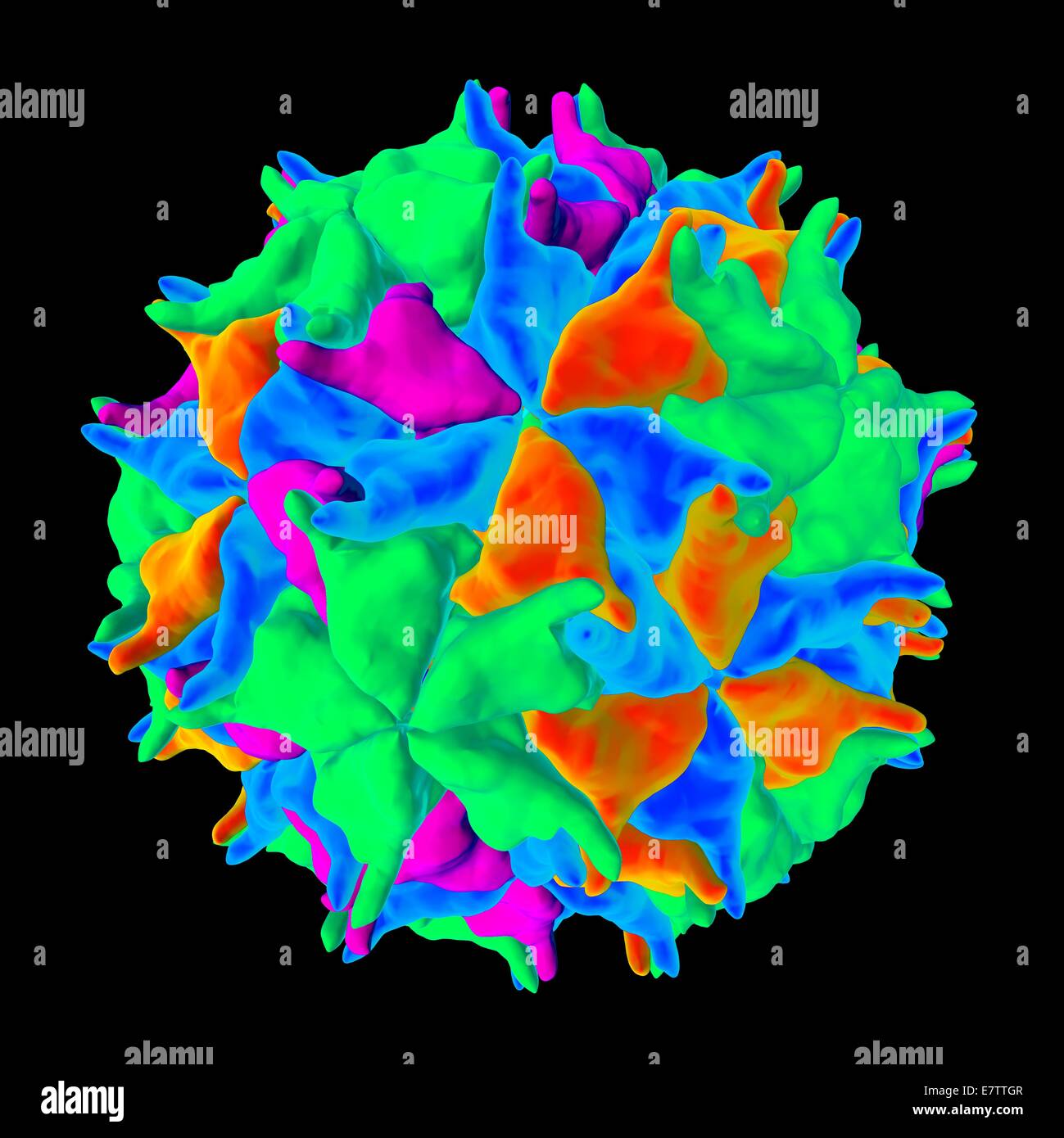 Nodaviridae hi-res stock photography and images - Alamy