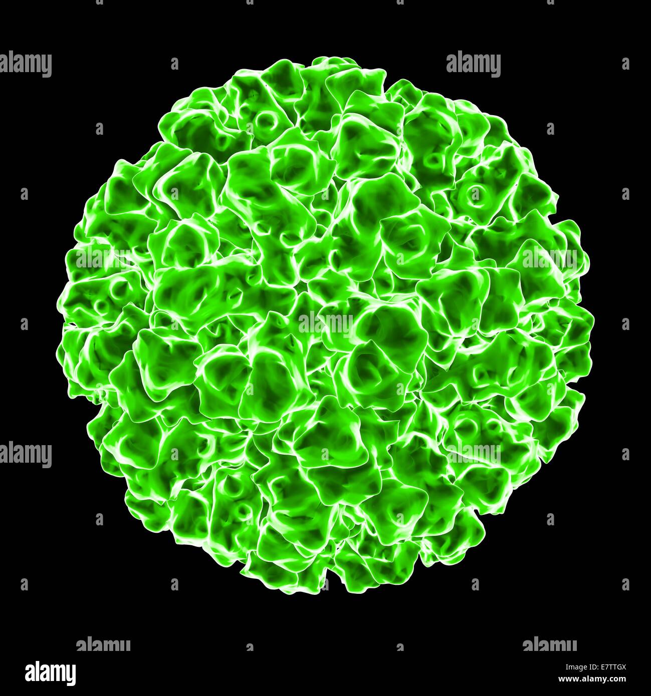 Norwalk virus, computer artwork Stock Photo - Alamy Norwalk virus, computer artwork Stock Photo - Alamy