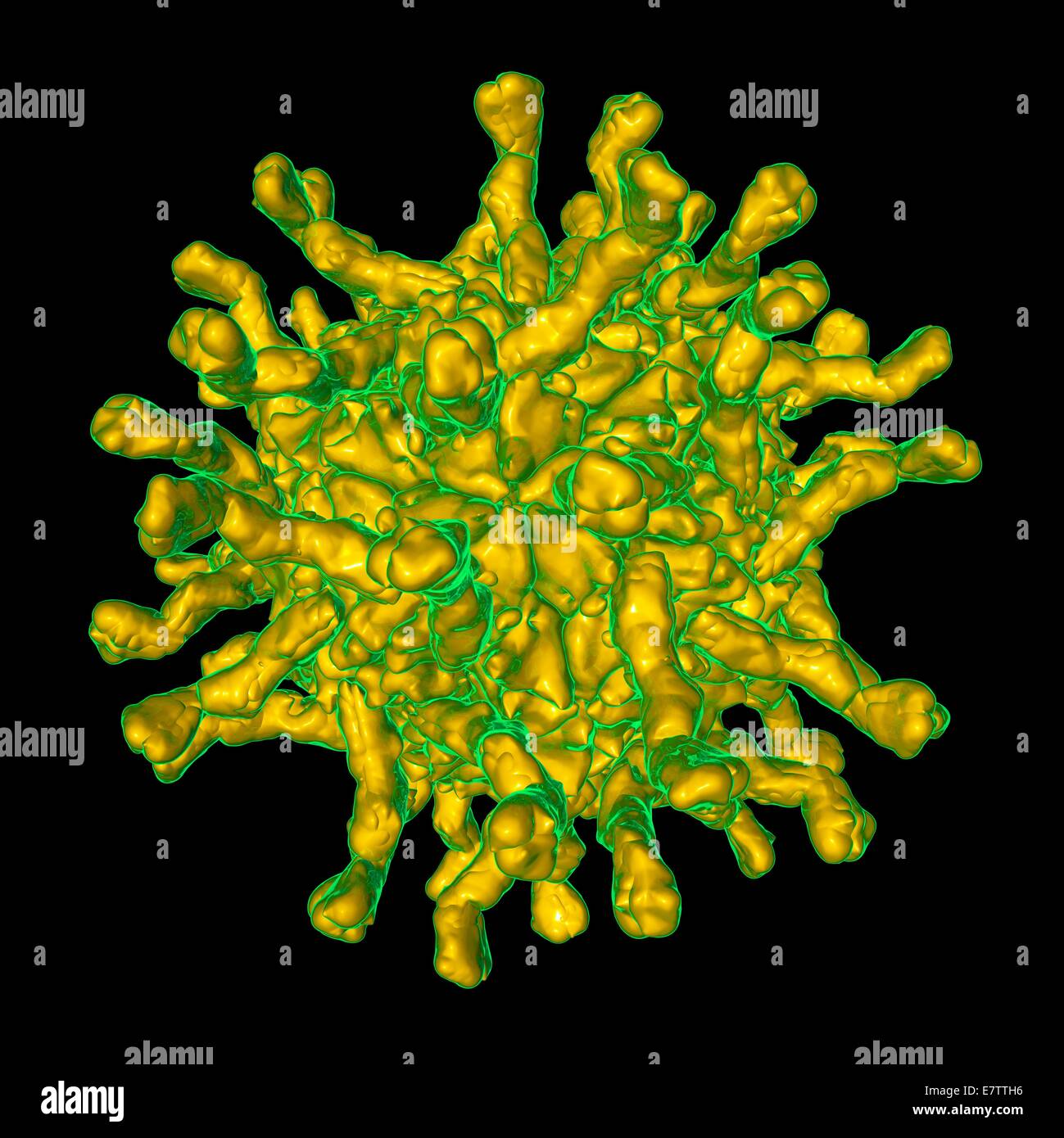 Poliovirus receptor complex, computer artwork Stock Photo - Alamy