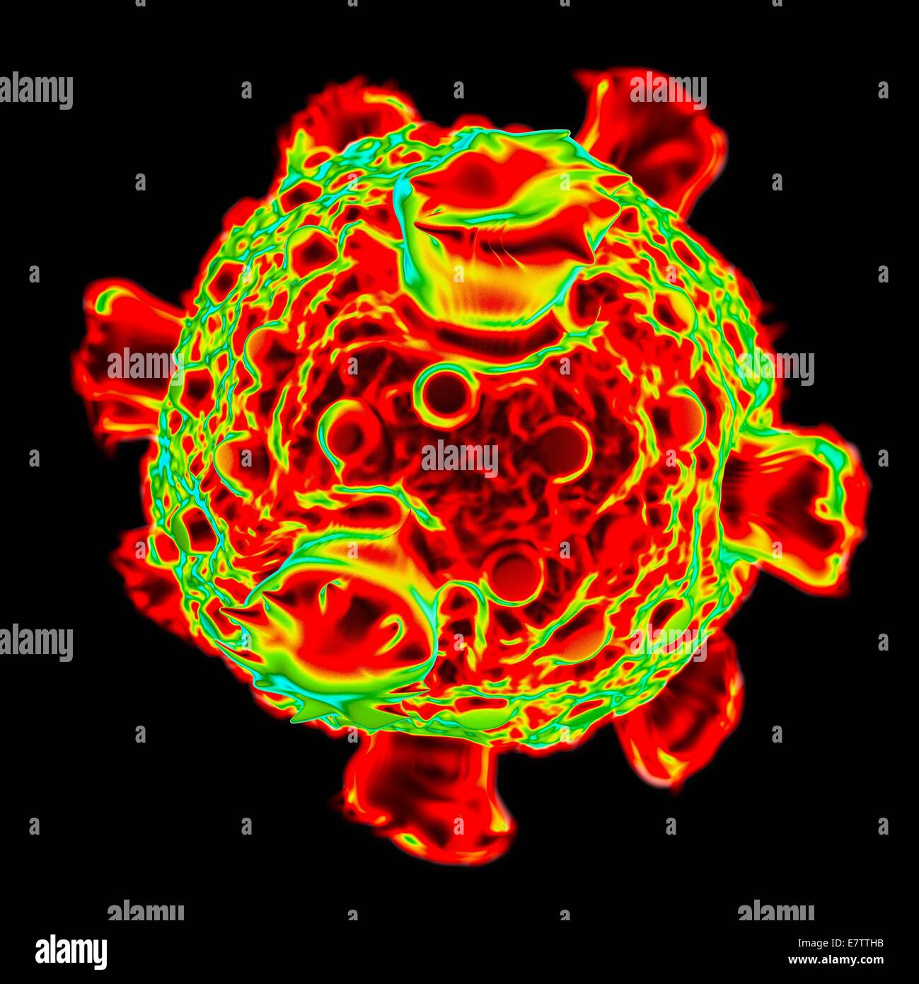 Reoviridae High Resolution Stock Photography and Images - Alamy