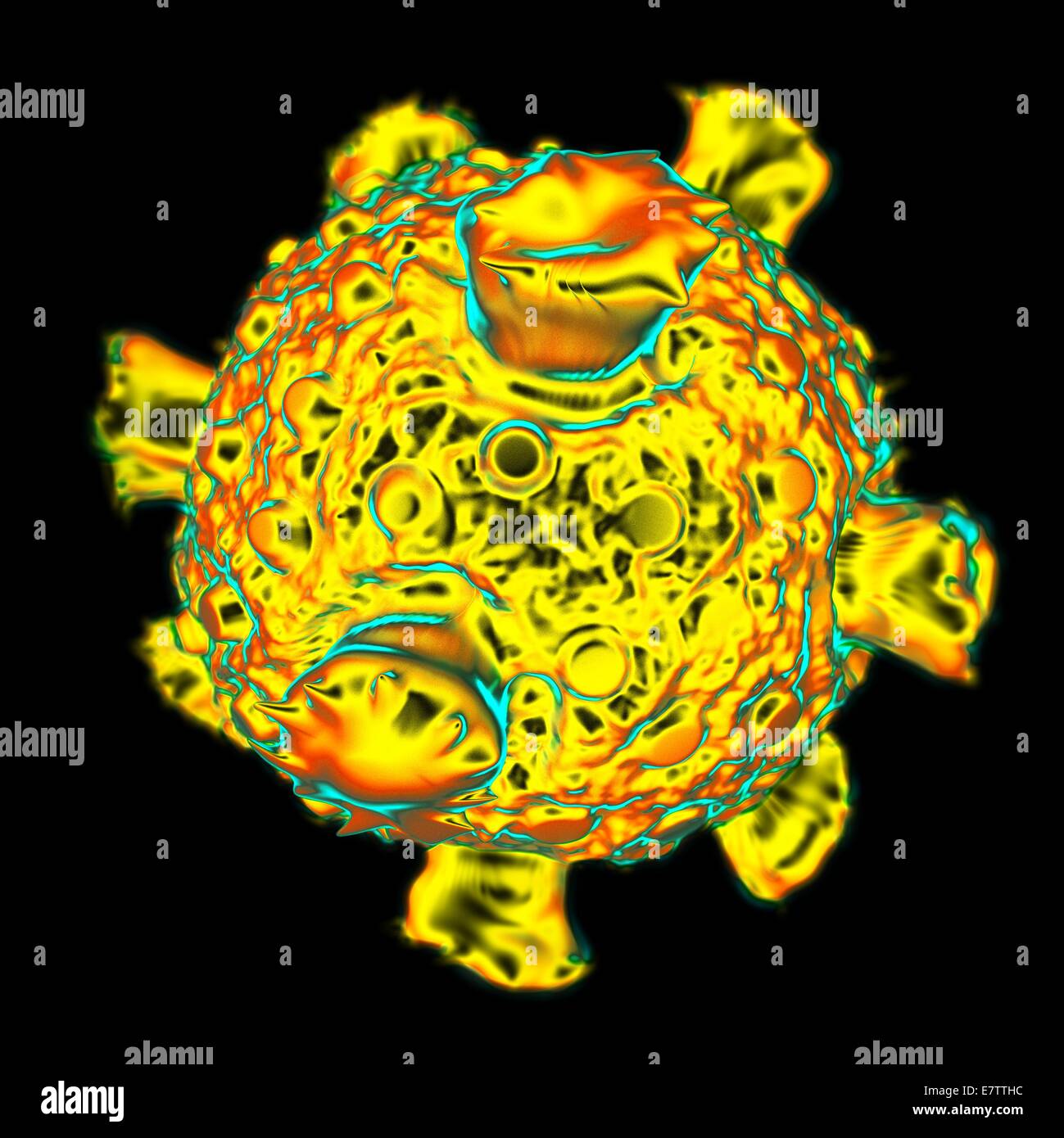 Reovirus, computer artwork Stock Photo - Alamy