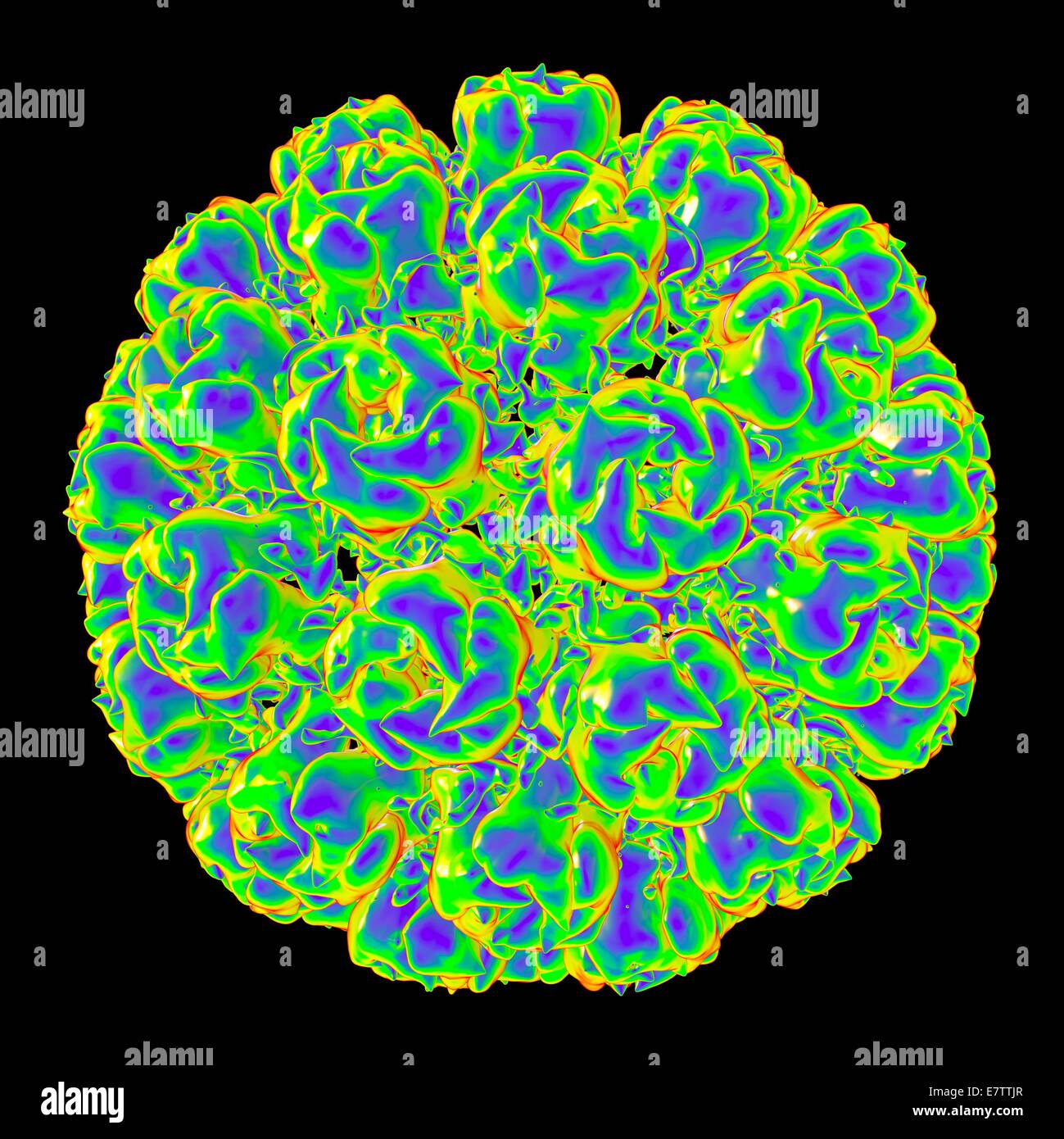 Simian hi-res stock photography and images - Alamy