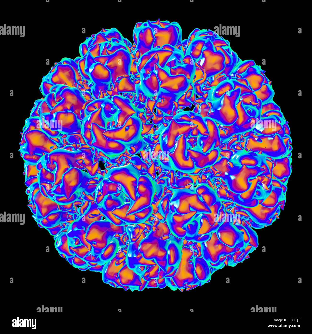 Simian virus 40, computer artwork Stock Photo - Alamy