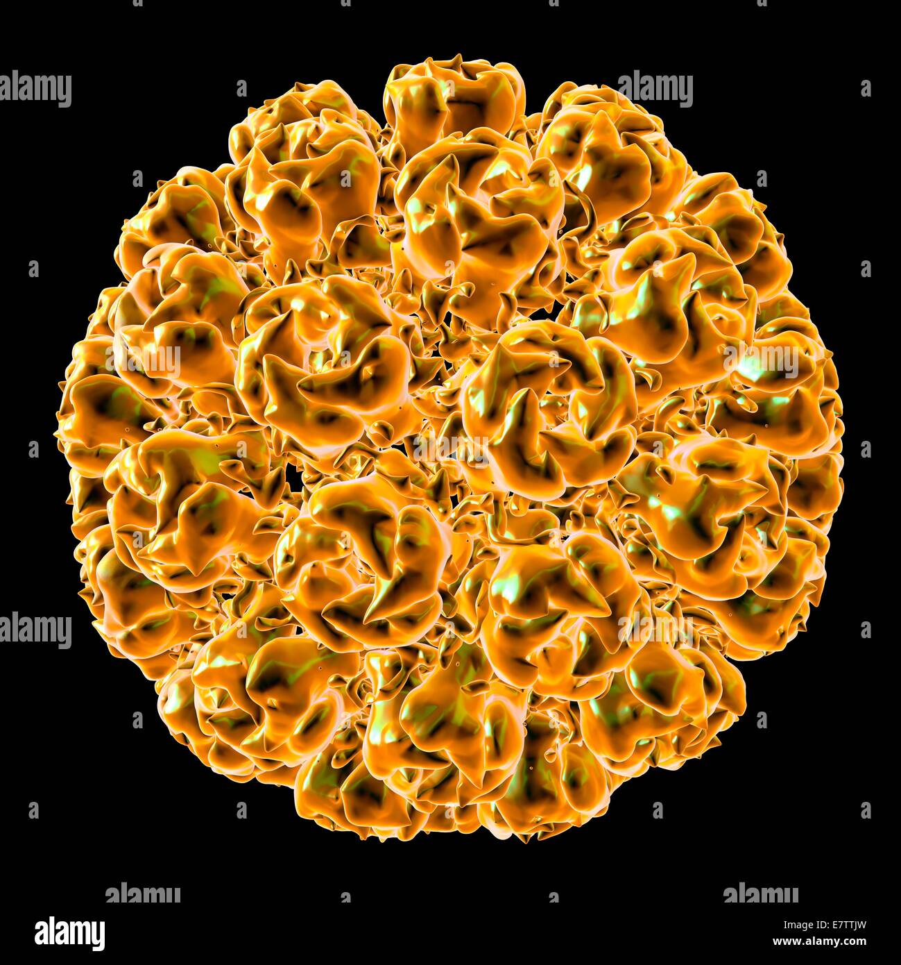 Simian hi-res stock photography and images - Alamy