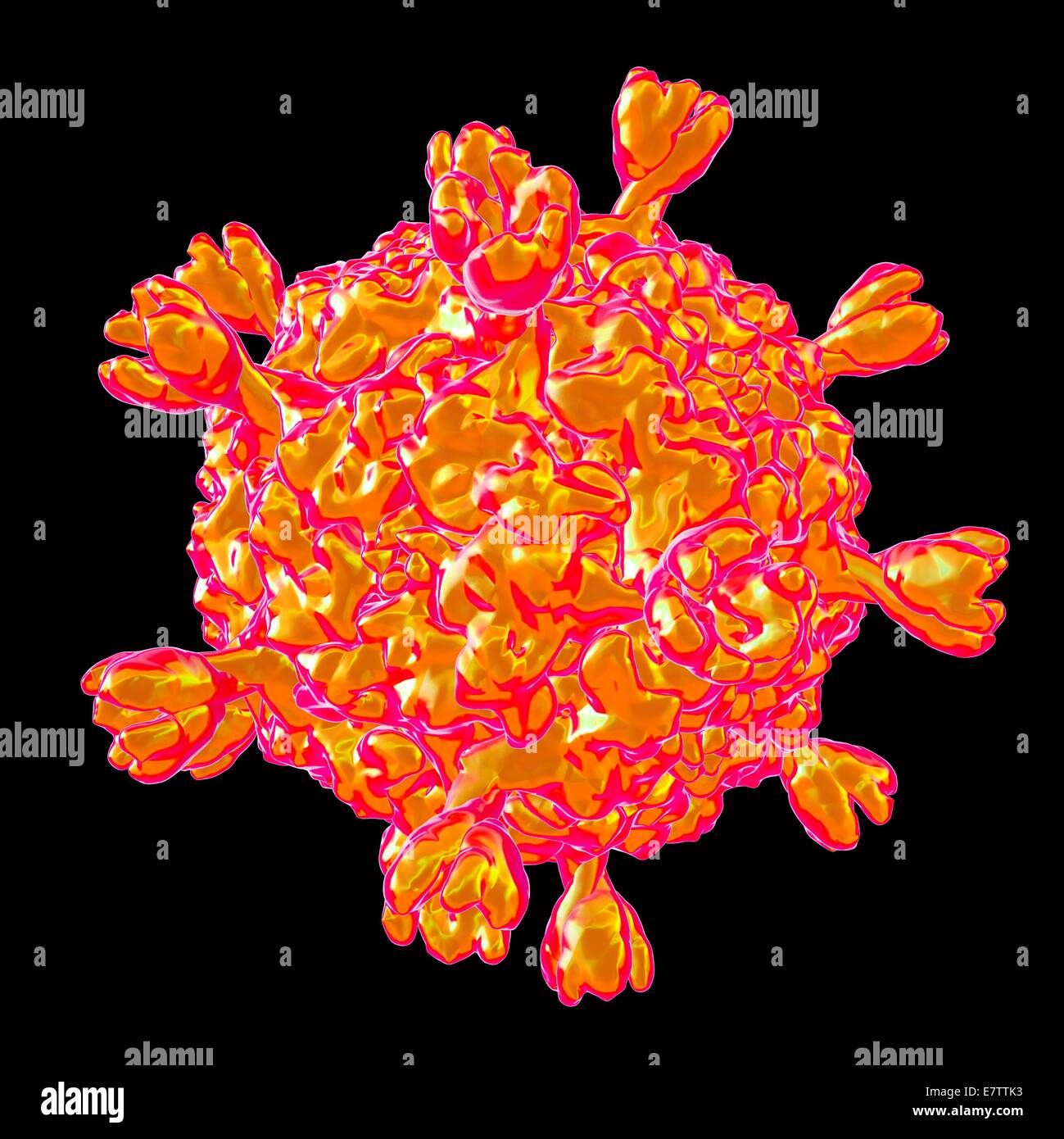 Smallpox virus, computer artwork Stock Photo - Alamy