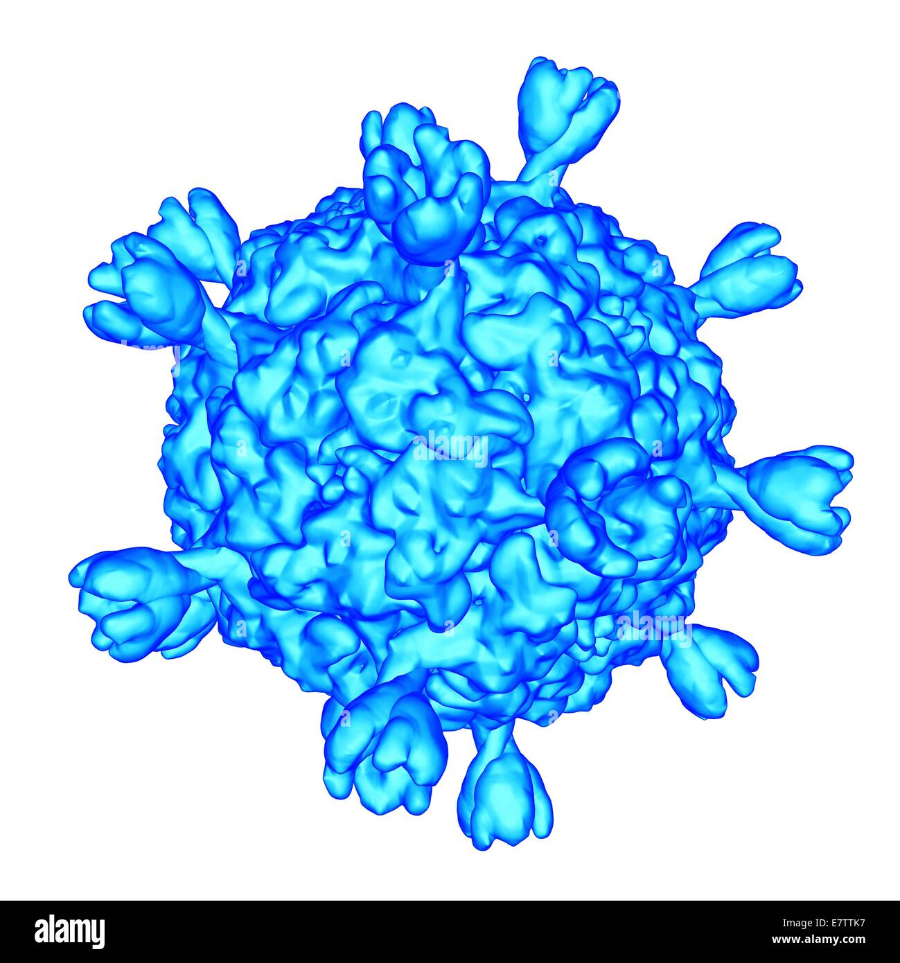 Smallpox virus, computer artwork Stock Photo - Alamy