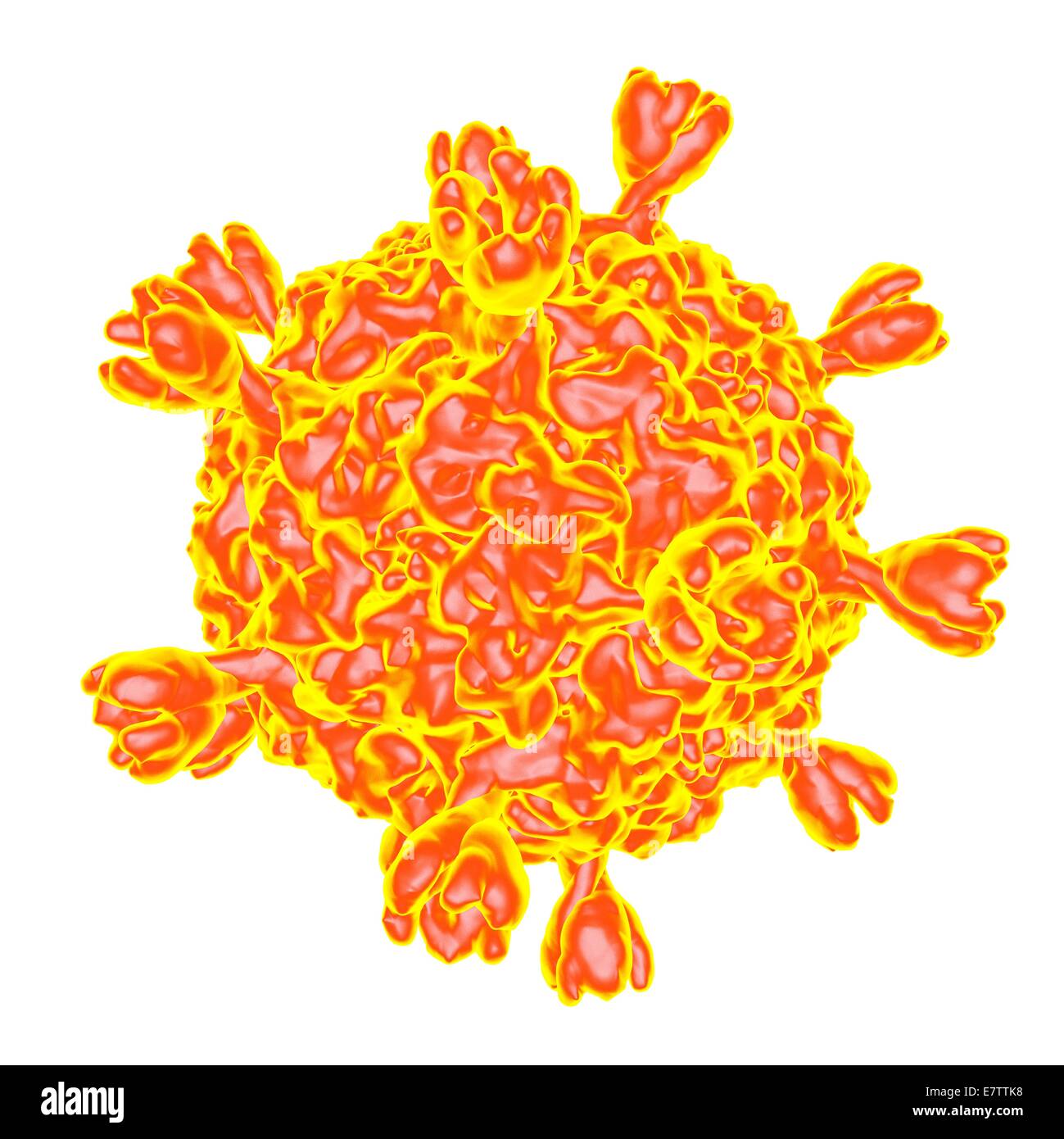 Smallpox virus, computer artwork Stock Photo - Alamy