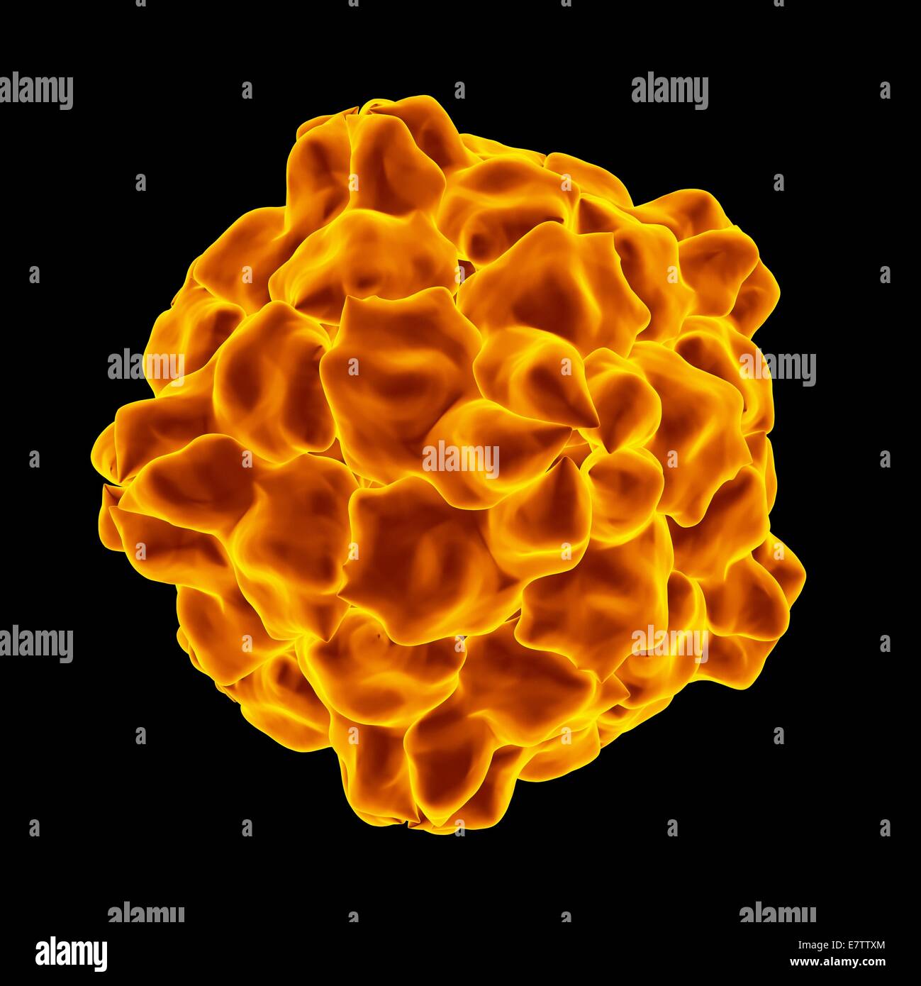 Ringspot virus hi-res stock photography and images - Alamy