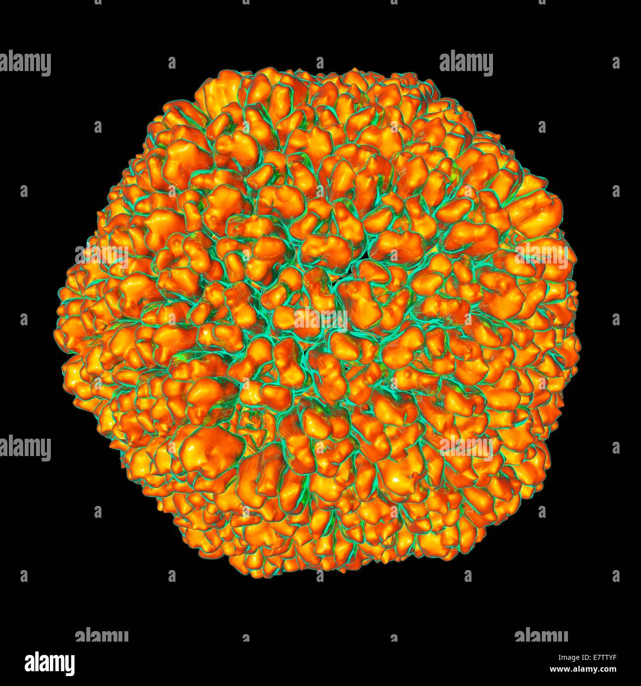 Sputnik Virophage Particle High Resolution Stock Photography and Images ...