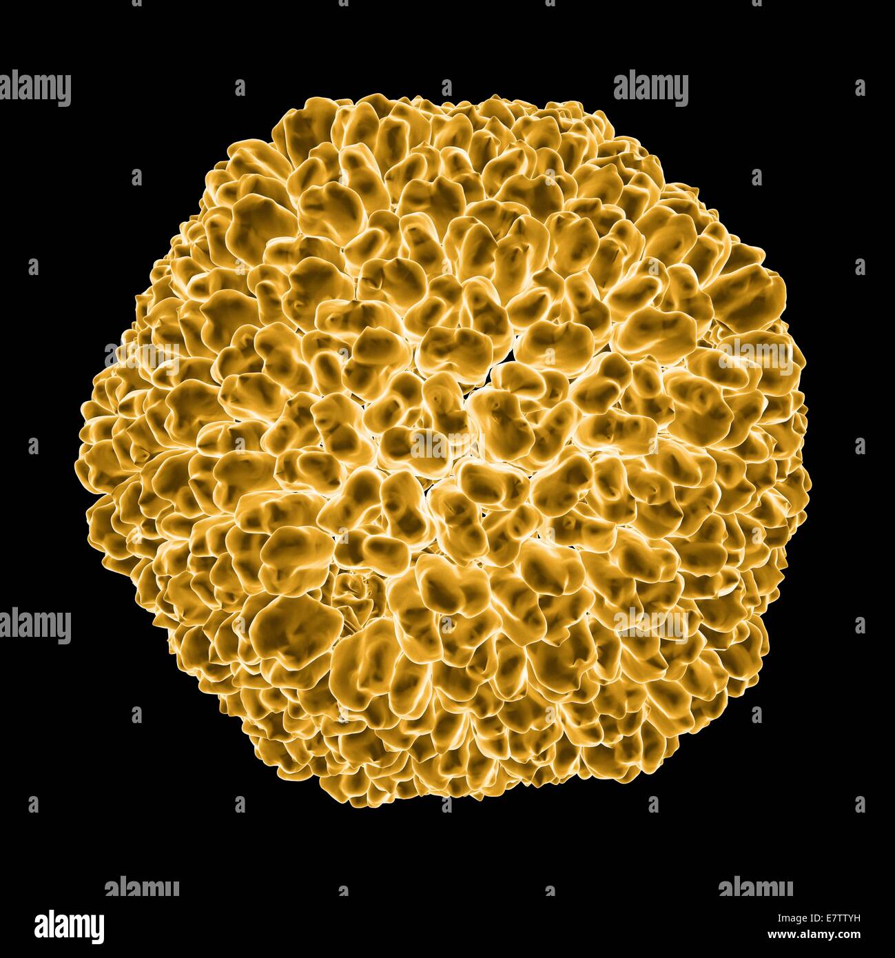 Sputnik virophage, computer artwork Stock Photo - Alamy