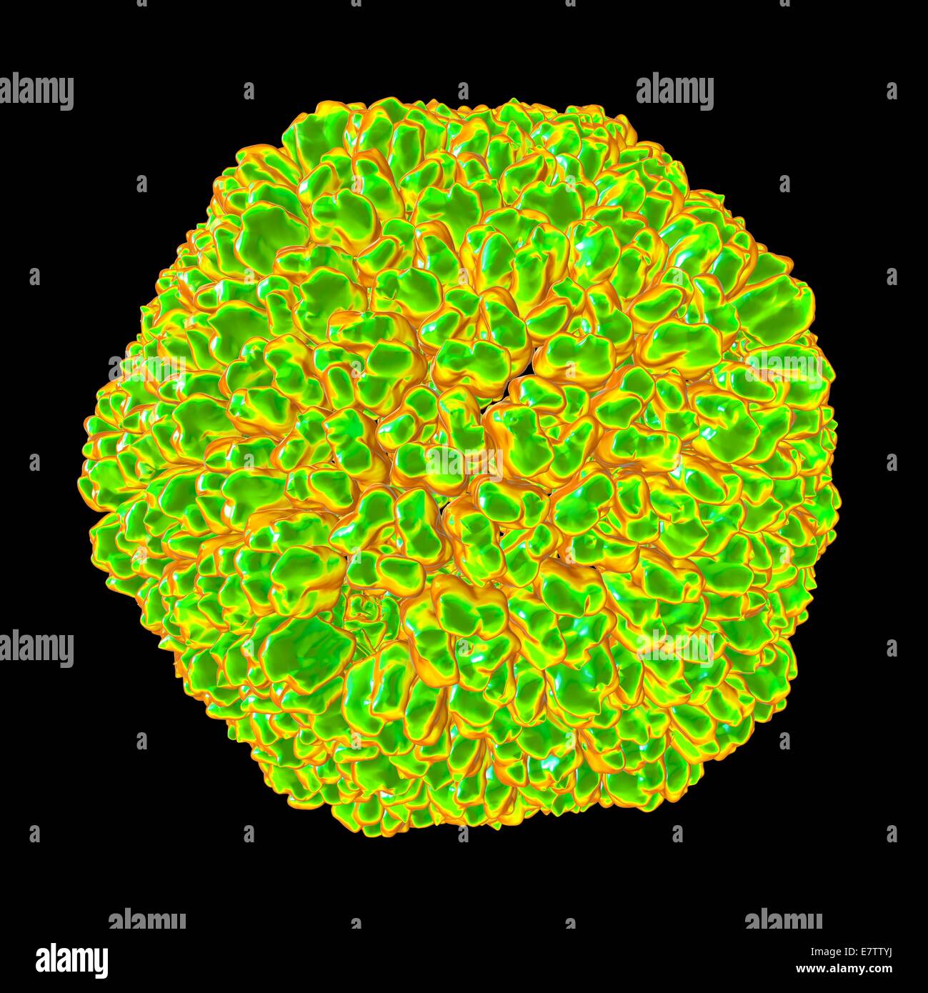 Sputnik virophage particle hi-res stock photography and images - Alamy