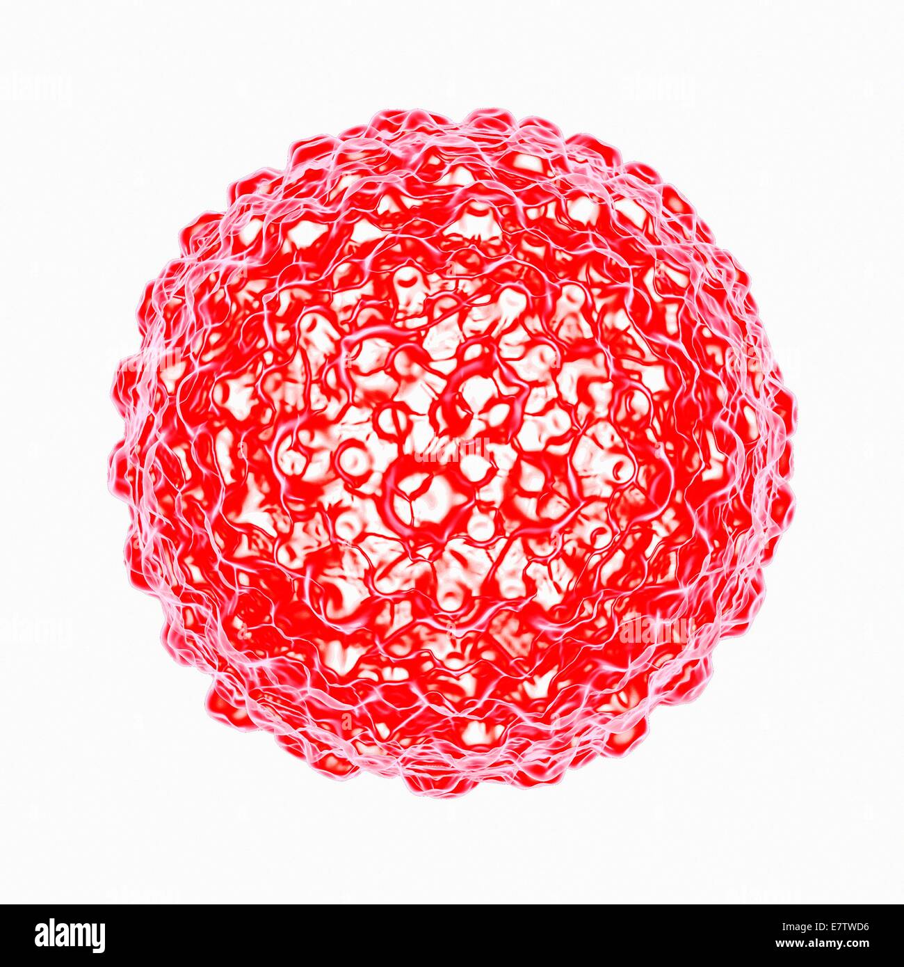Herpes simplex virus Cut Out Stock Images & Pictures - Alamy