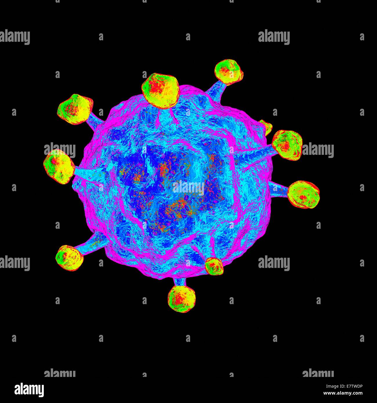 Human b hi-res stock photography and images - Alamy