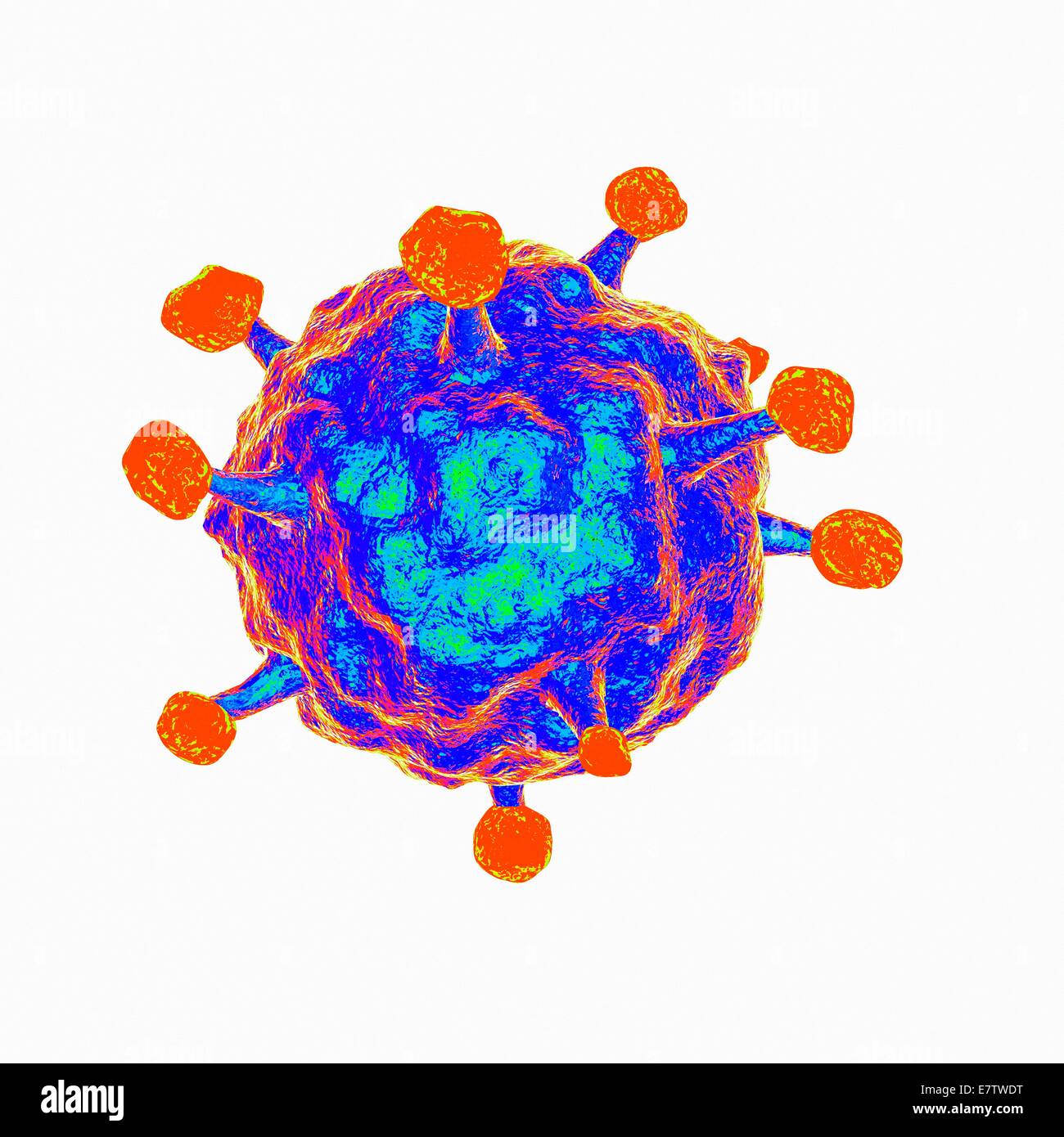 Human pathogenic virus computer illustration hi-res stock photography ...